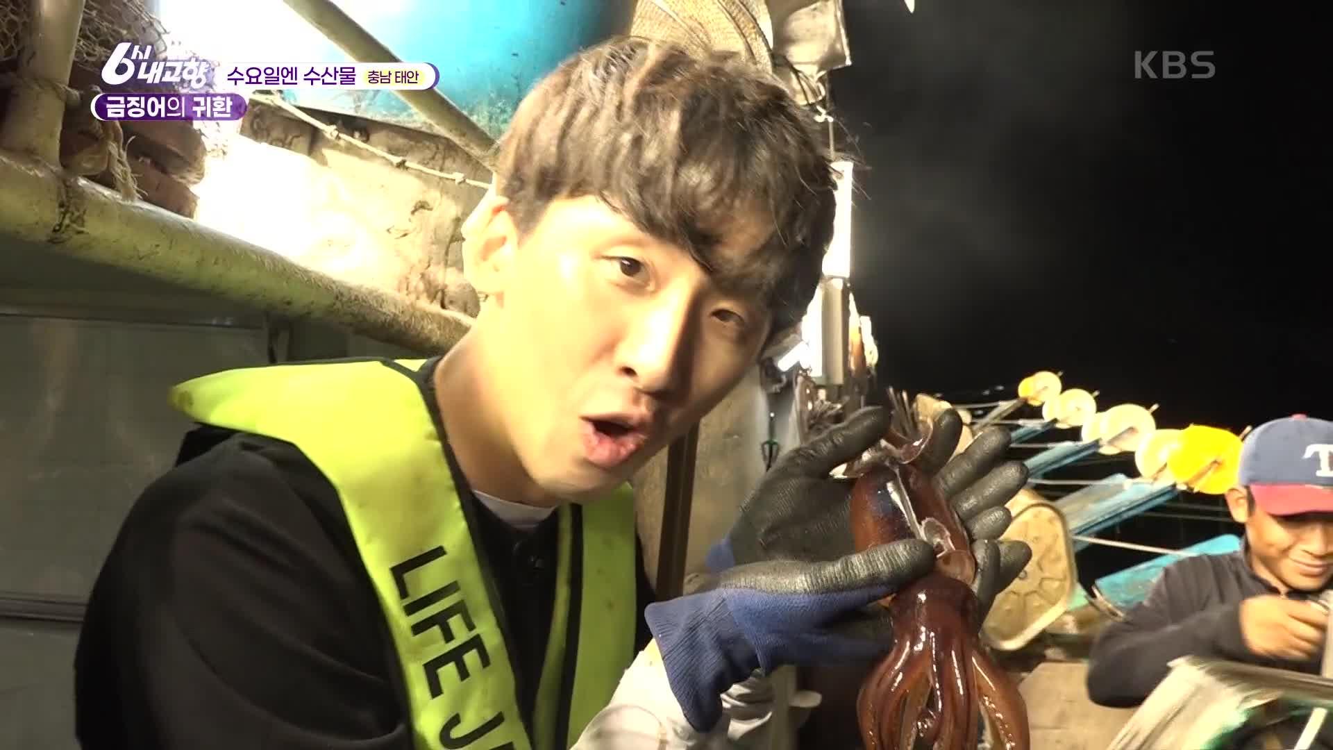 [수요일엔 수산물] 금징어의 귀환 | KBS 230809 방송 | ZUM TV