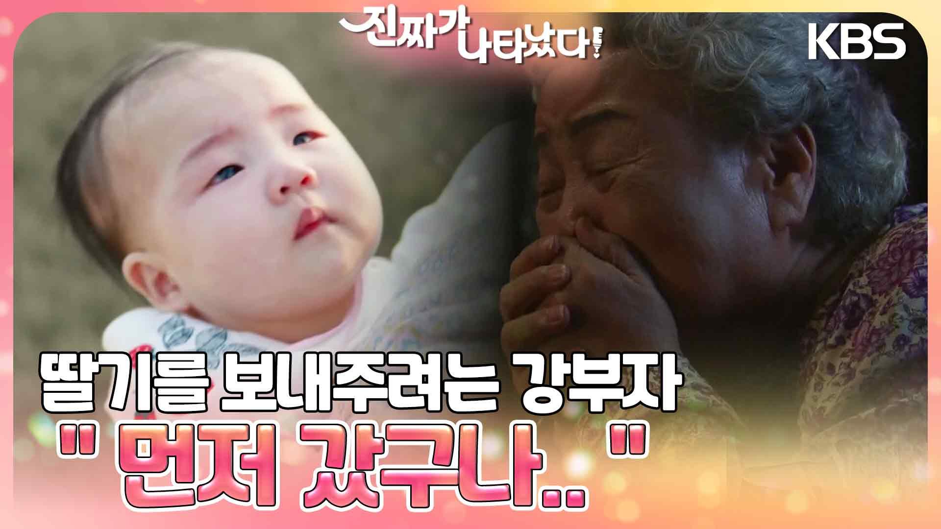 ＂먼저 갔구나..＂ 멈추지 않는 눈물💧 딸기를 보내주려는 강부자 | KBS 230813 방송 | ZUM TV