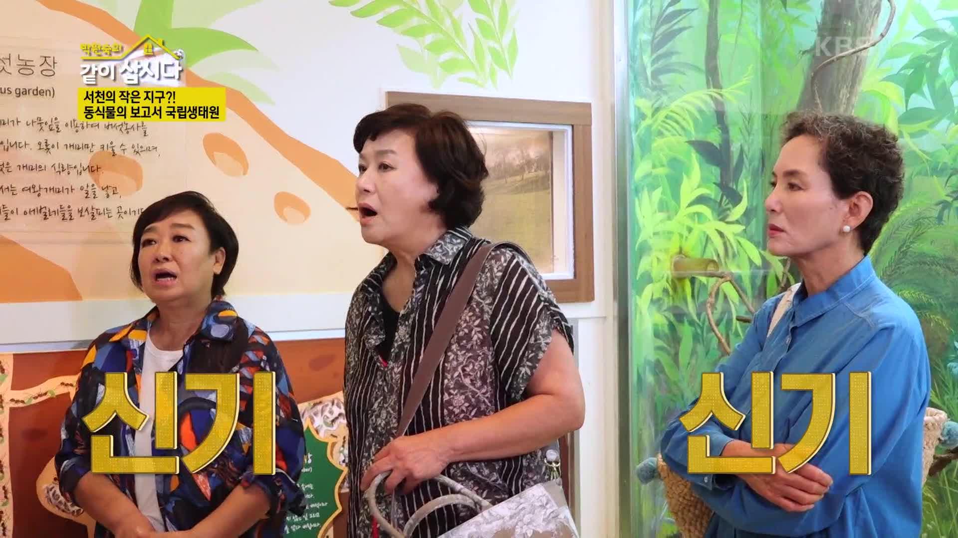 국립생태원에서 듣는 잎꾼개미들 이야기 | KBS 230827 방송 | ZUM TV