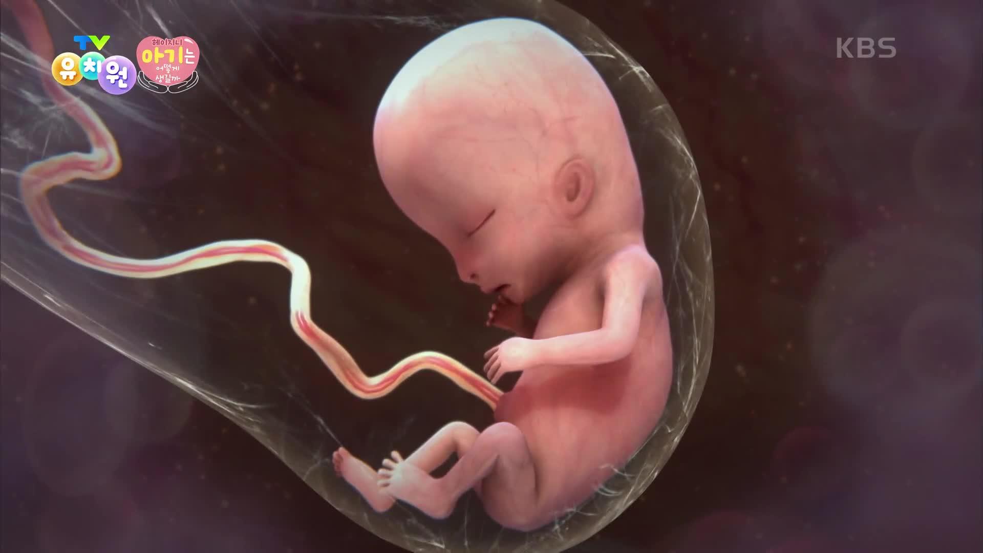 [헤이지니 아기는 어떻게 생길까] 아기는 어떻게 자랄까~? | KBS 230828 방송 | ZUM TV
