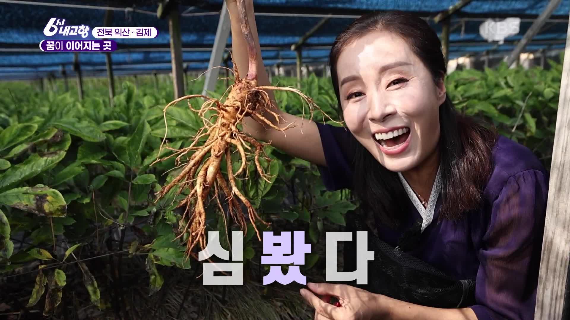 [발길따라 고향 기행] 꿈이 이어지는 곳 | KBS 230906 방송 | ZUM TV