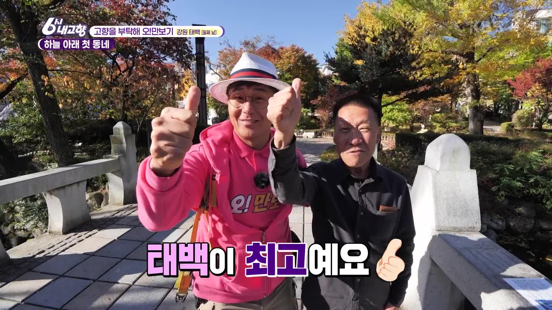 [고향을 부탁해 오 만보기] 하늘 아래 첫 동네 강원 태백 [둘째 날] Kbs 231031 방송 Zum Tv