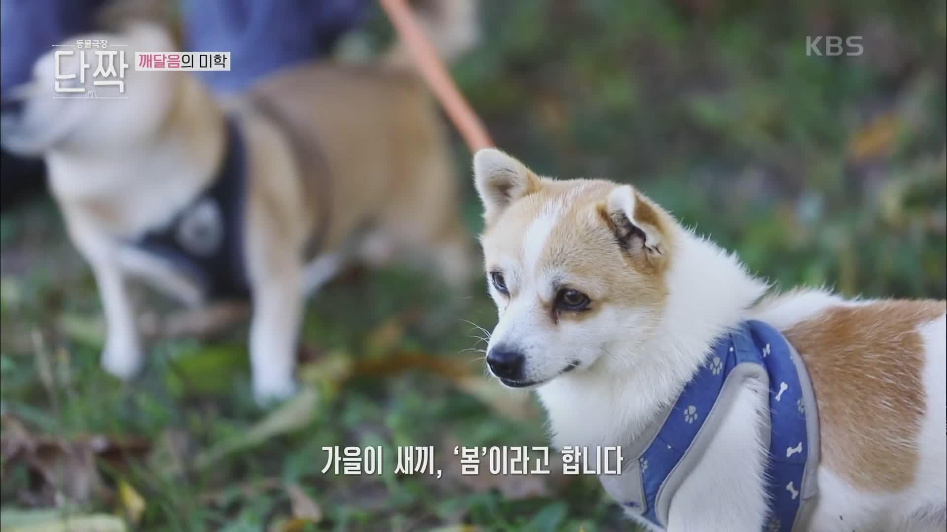 가을의 모자와 한옥집 | KBS 231111 방송 | ZUM TV