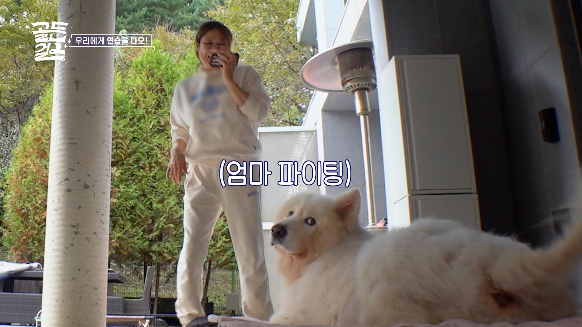 때와 장소를 가리지 않는 연습 모먼트 모음zip | KBS 231124 방송 | ZUM TV