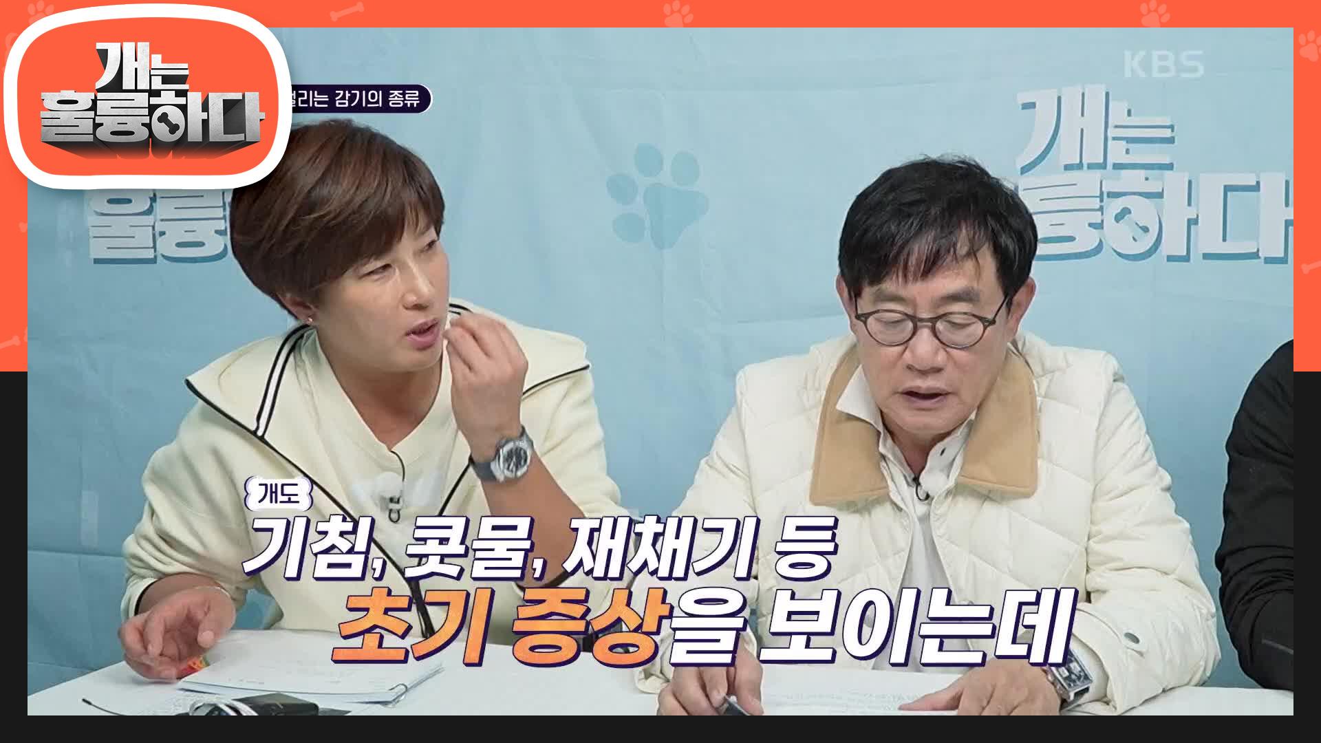 개도 감기에 걸린다!? 개가 걸리는 감기의 종류 알아보기 | KBS 231127 방송 | ZUM TV