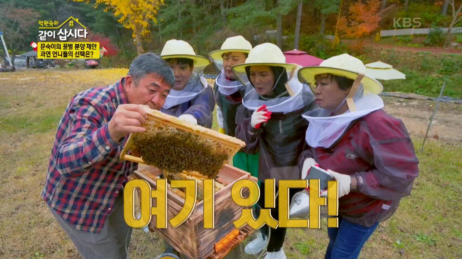 문숙이의 꿀벌 분양 제안! 과연 언니들의 선택은?👀 | KBS 231224 방송 | ZUM TV