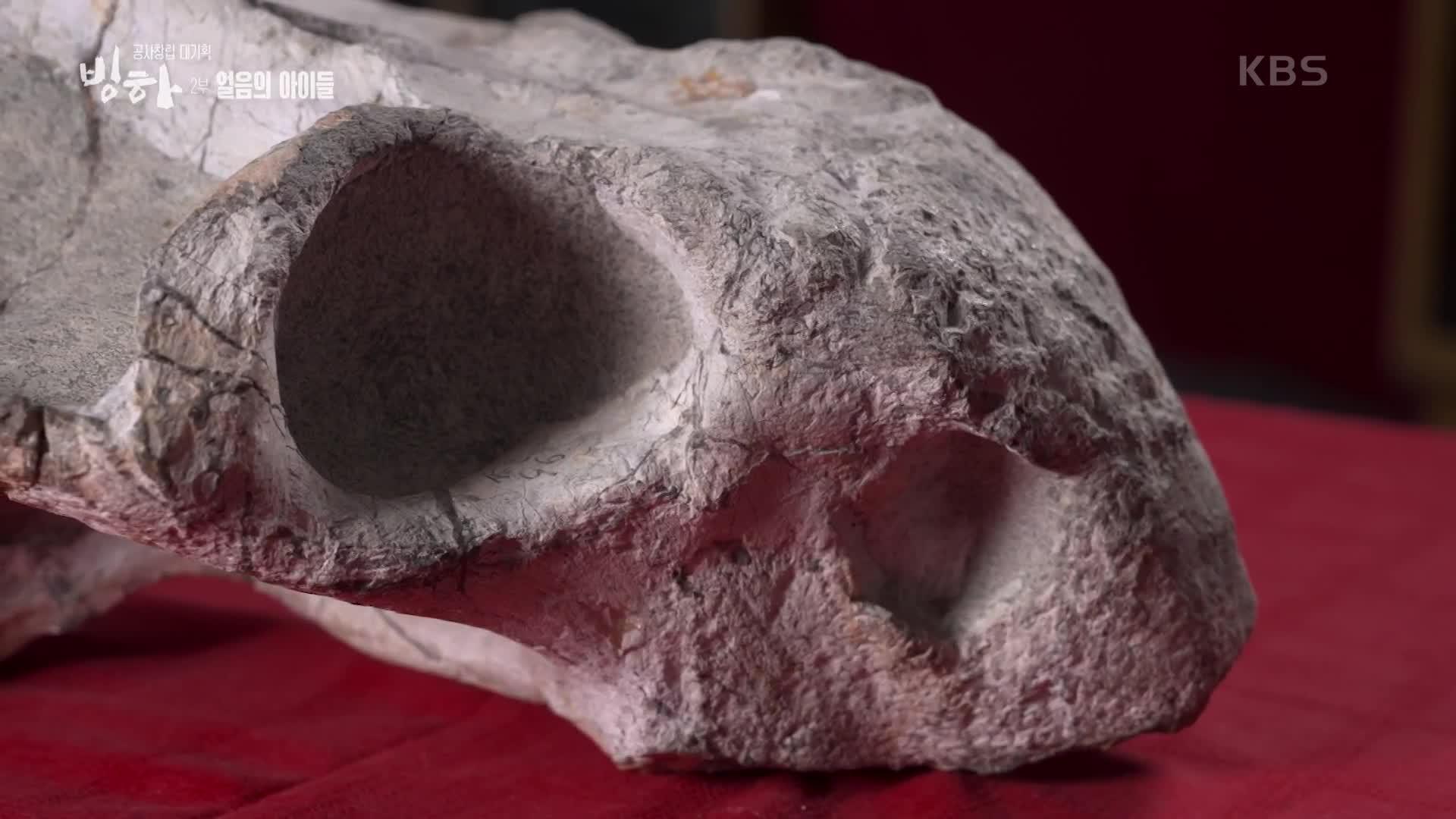 육지와 바다에 살던 생물의 90%가 한꺼번에 사라진 대멸종에서 살아남은 ‘리스트로사우루스’ | KBS 240314 방송 | ZUM TV