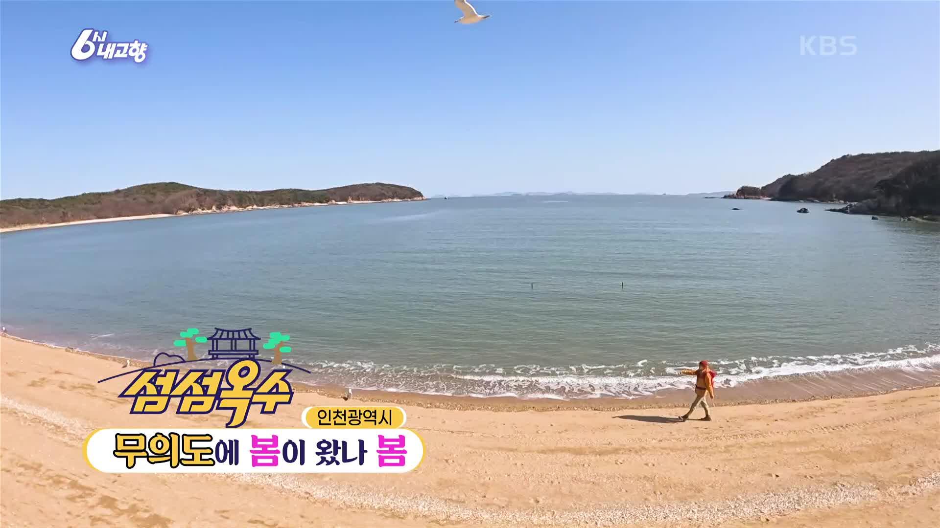 [섬섬옥수] 무의도에 봄이 왔나 봄 | KBS 240322 방송 | ZUM TV