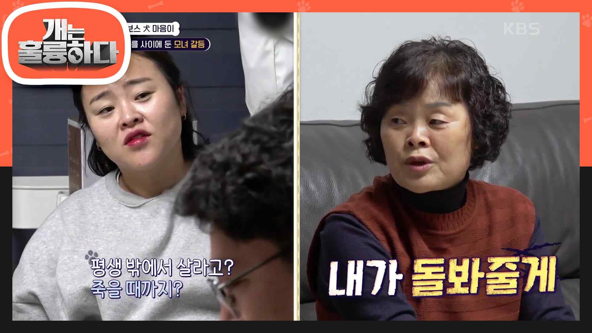 베란다에서 키워 VS 좁아서 안 돼! 마음이를 사이에 둔 모녀의 갈등😥 | KBS 240401 방송 | ZUM TV