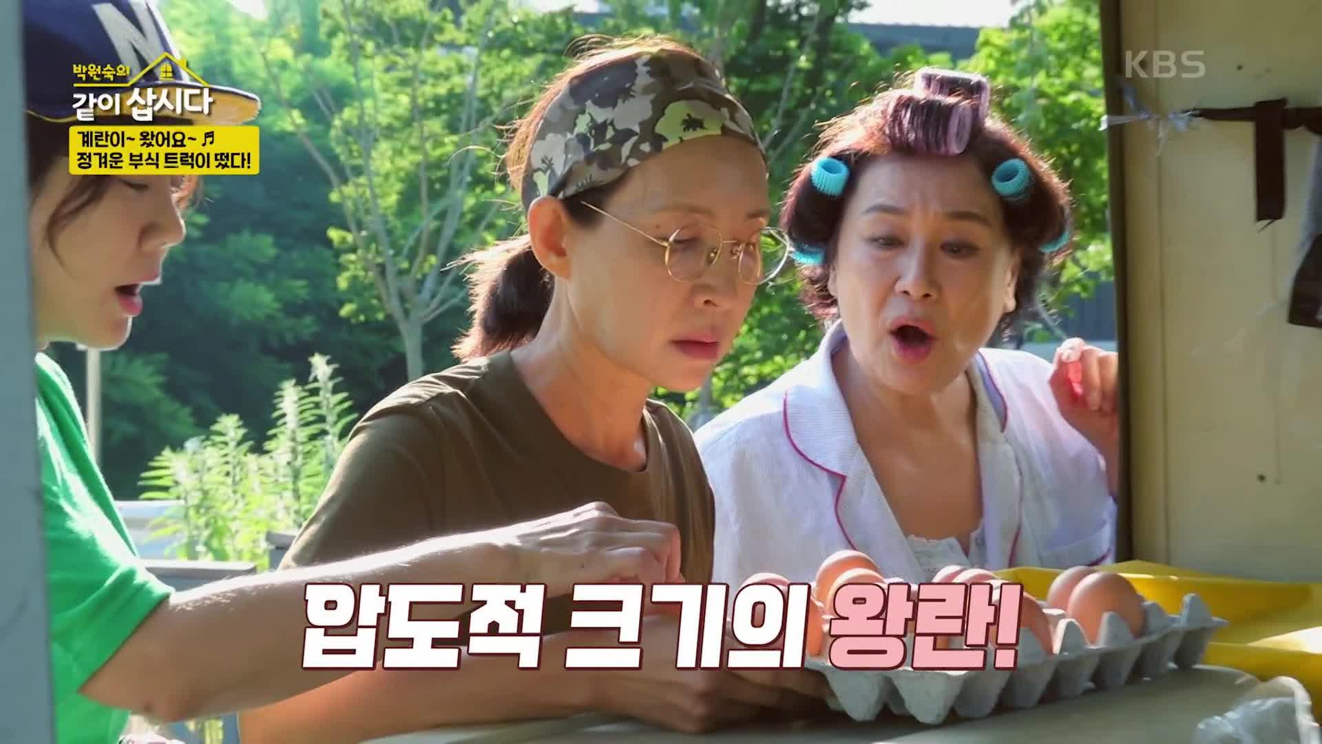 애리 언니의 꼼꼼한 트럭 쇼핑! 주민들과 쌓인 정😢 | KBS 241003 방송 | ZUM TV