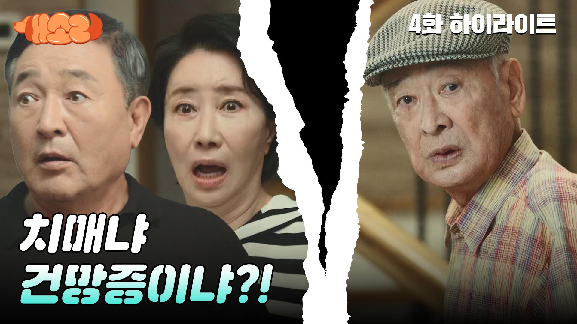 [4화 하이라이트] ＂치매냐 건망증이냐?!＂ 이순재의 생일을 까먹은 시니어 배우들! | KBS 241003 방송 | ZUM TV