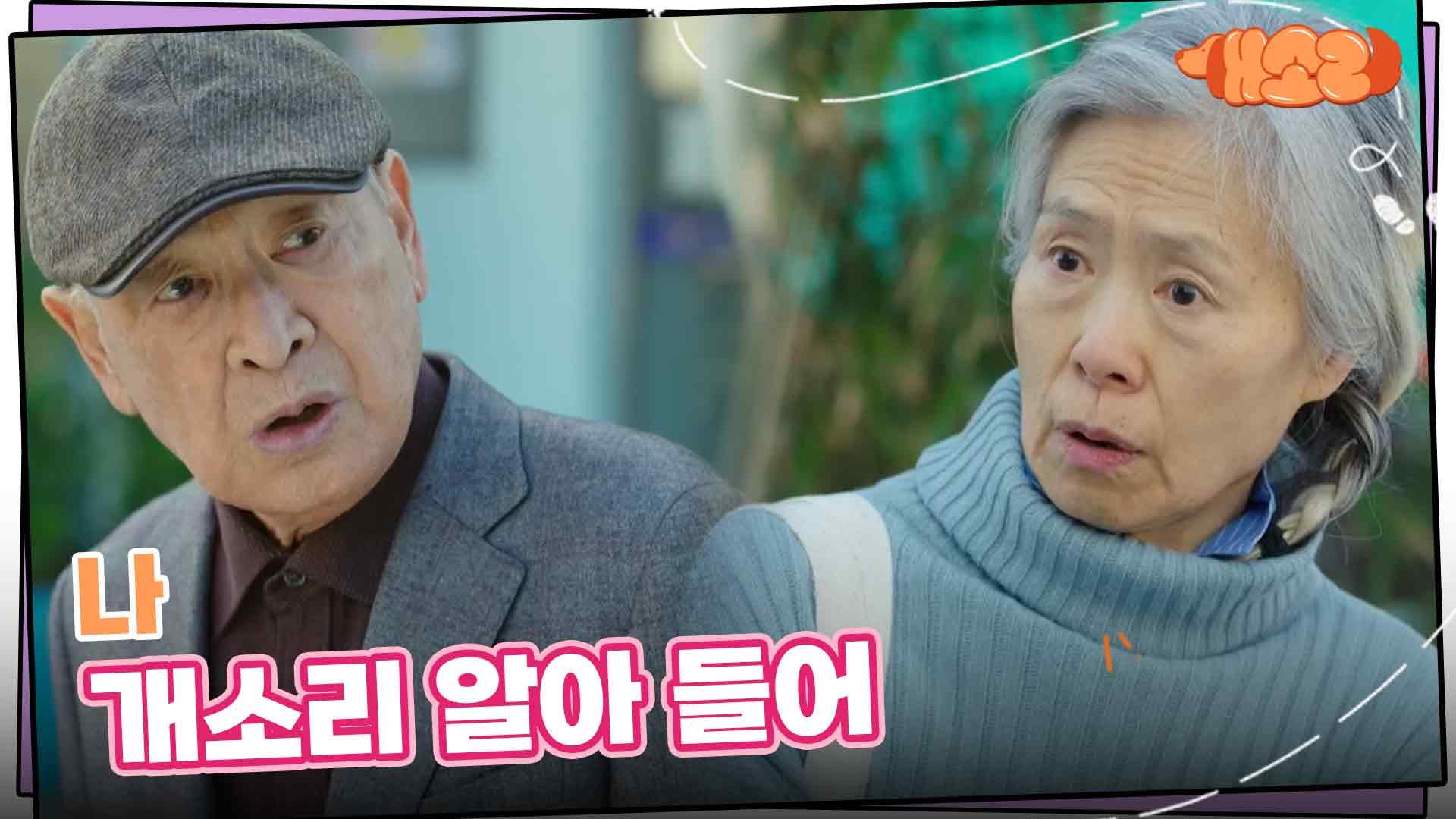나 개소리 알아 들어 ” 이순재가 소피의 말을 전해주자 놀라는 예수정 | KBS 241016 방송 | ZUM TV