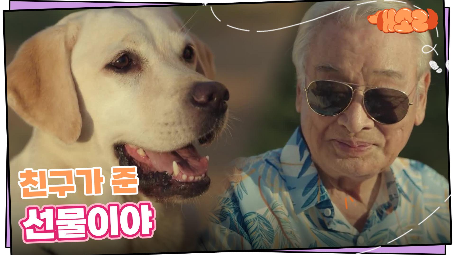 ＂친구가 준 선물이야＂ 사건을 해결하며 소피와 친해지는 이순재 | KBS 241003 방송 | ZUM TV