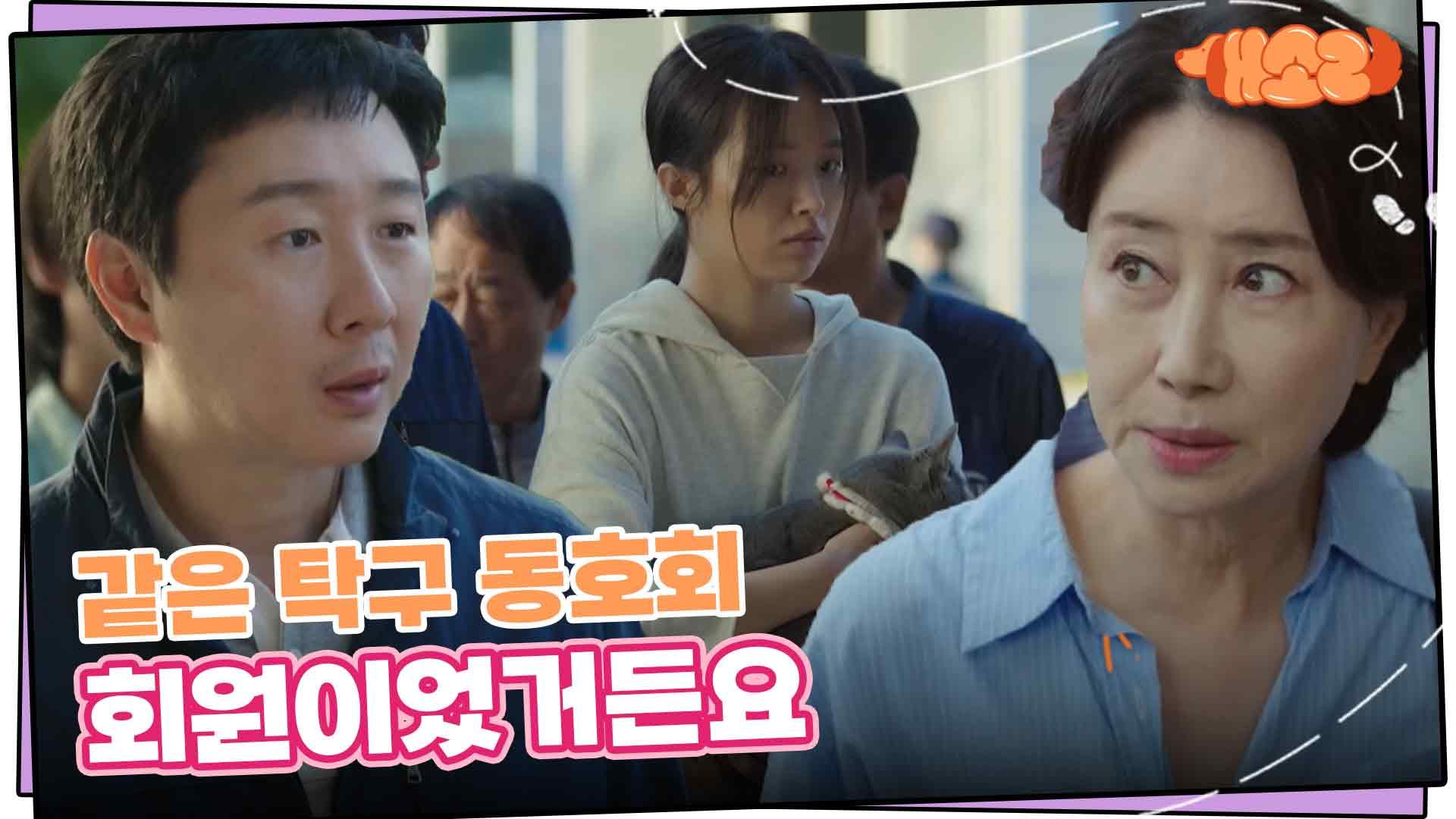 고양이를 대신 맡아주는 송옥숙 “ 같은 탁구 동호회 회원이었거든요 ” | KBS 241010 방송 | ZUM TV