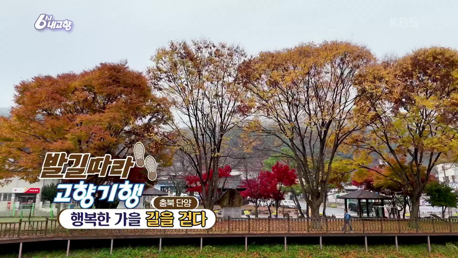 [발길따라 고향 기행] 행복한 가을 길을 걷다 | KBS 241120 방송 | ZUM TV