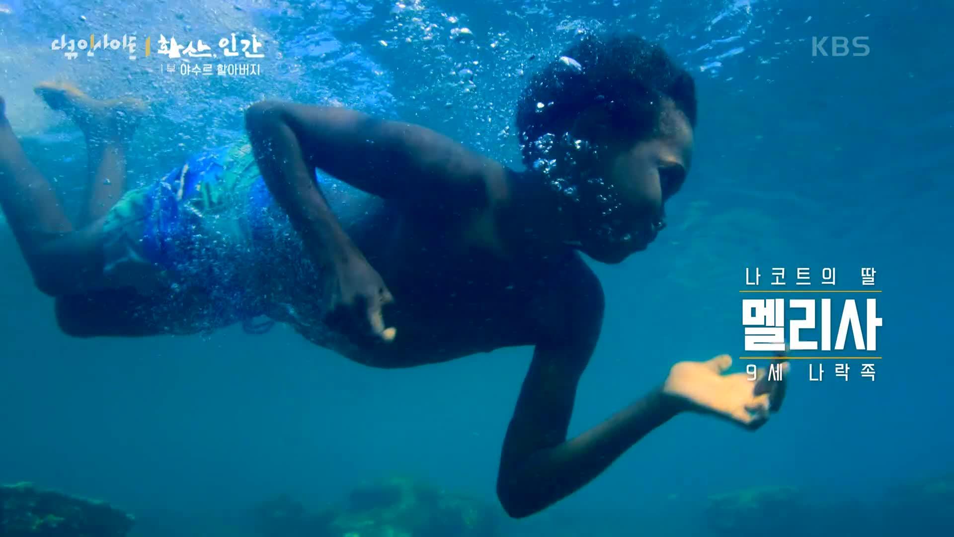 바닷속 마법 같은 공간을 만들어낸 화산 | KBS 241128 방송 | ZUM TV