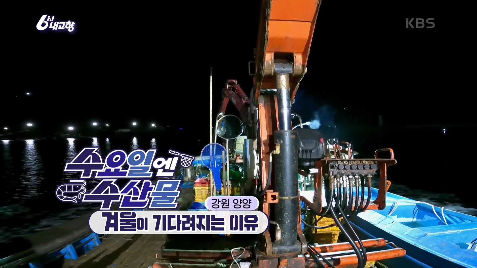 [수요일엔 수산물] 겨울이 기다려지는 이유 | KBS 241218 방송 | ZUM TV