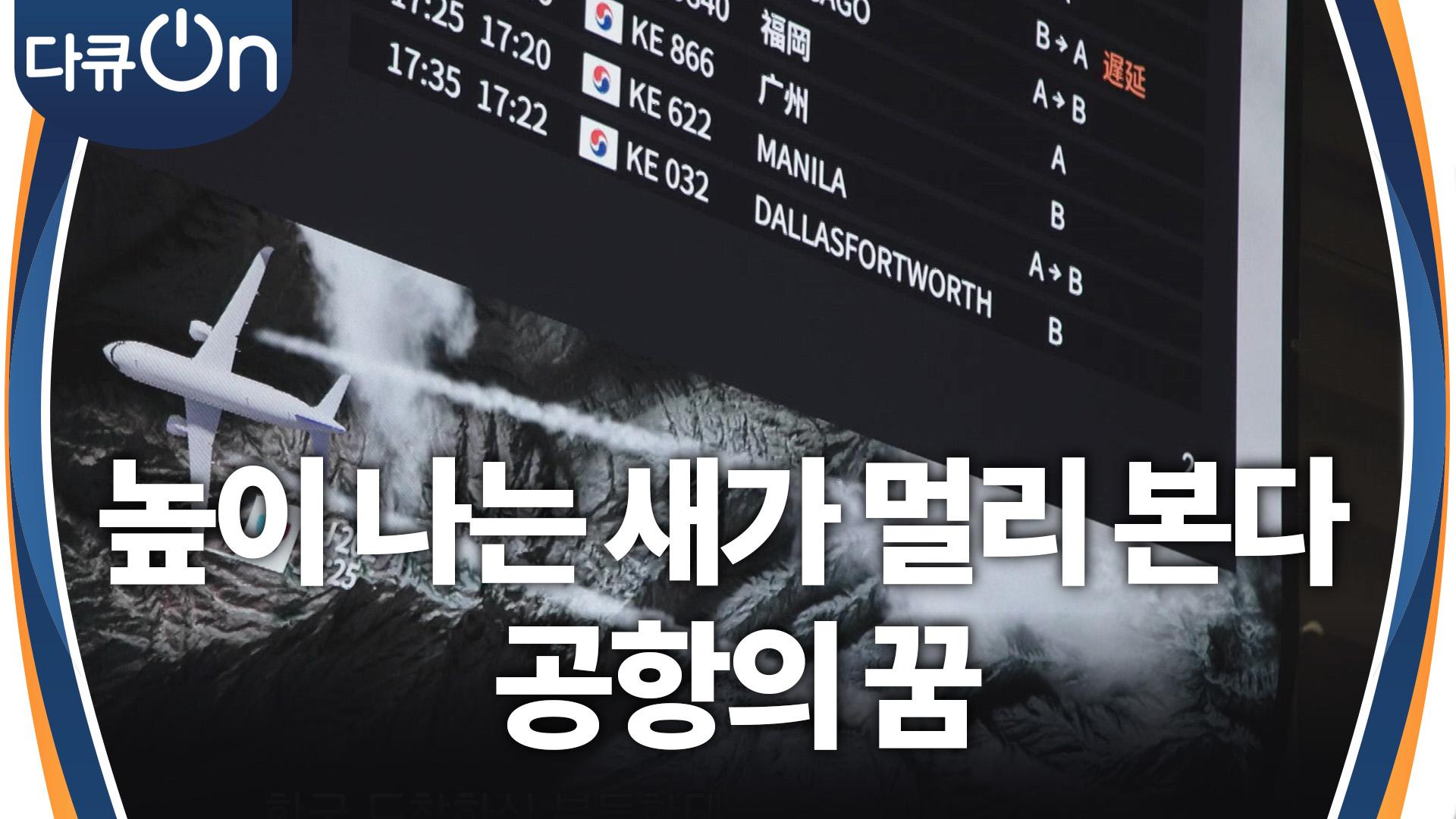 높이 나는 새가 멀리 본다, 공항의 꿈 | KBS 241228 방송 | ZUM TV