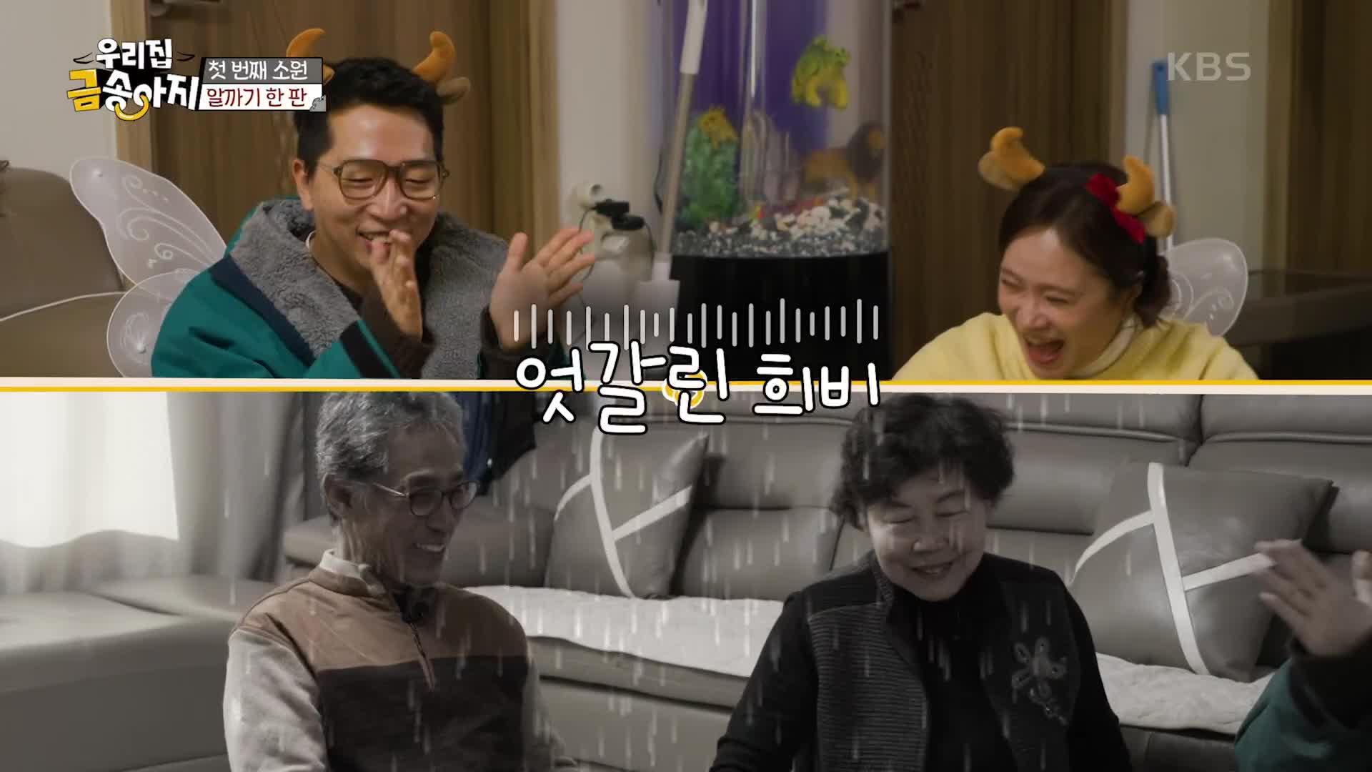 금송아지배 알까기 대회의 승자는?! ＂우리의 케미를 보여주마!＂ | KBS 250101 방송 | ZUM TV