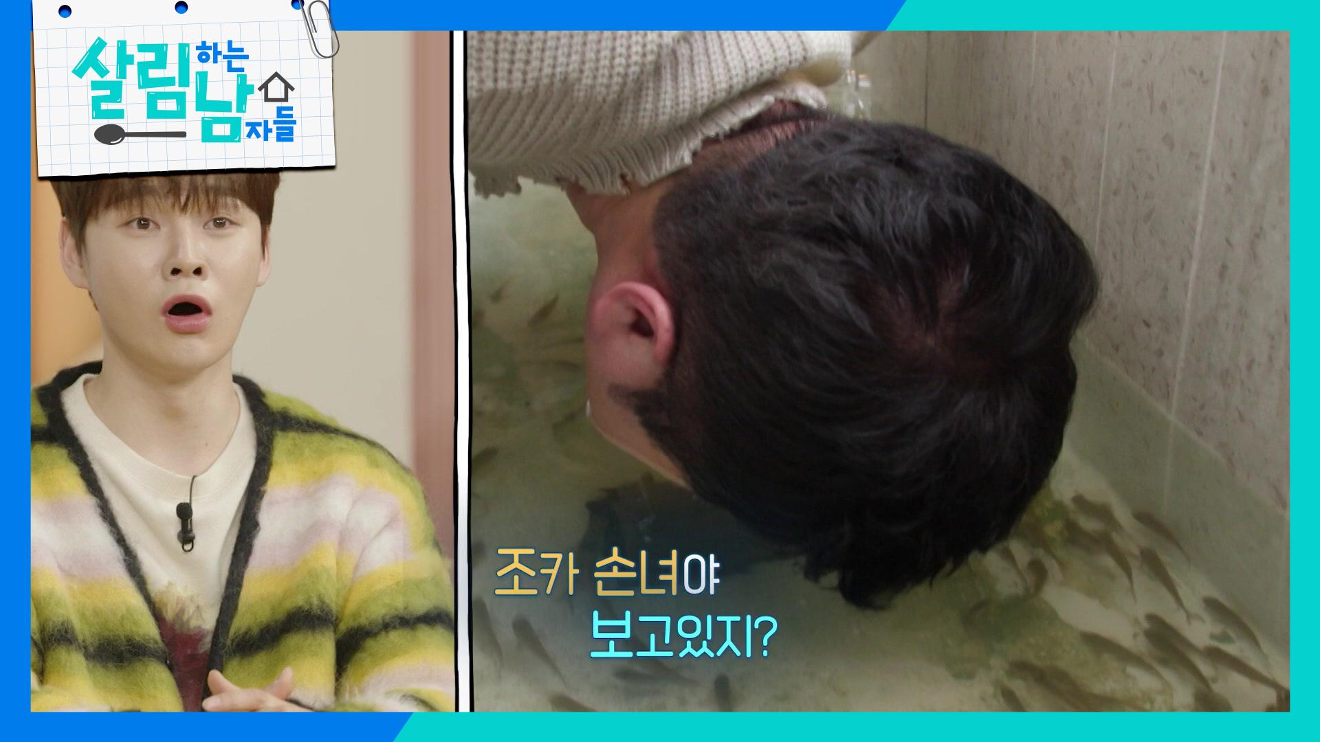 조카 손녀를 위해 닥터피쉬가 가득한 곳에 얼굴 넣은 지상렬😂 | KBS 250215 방송 | ZUM TV