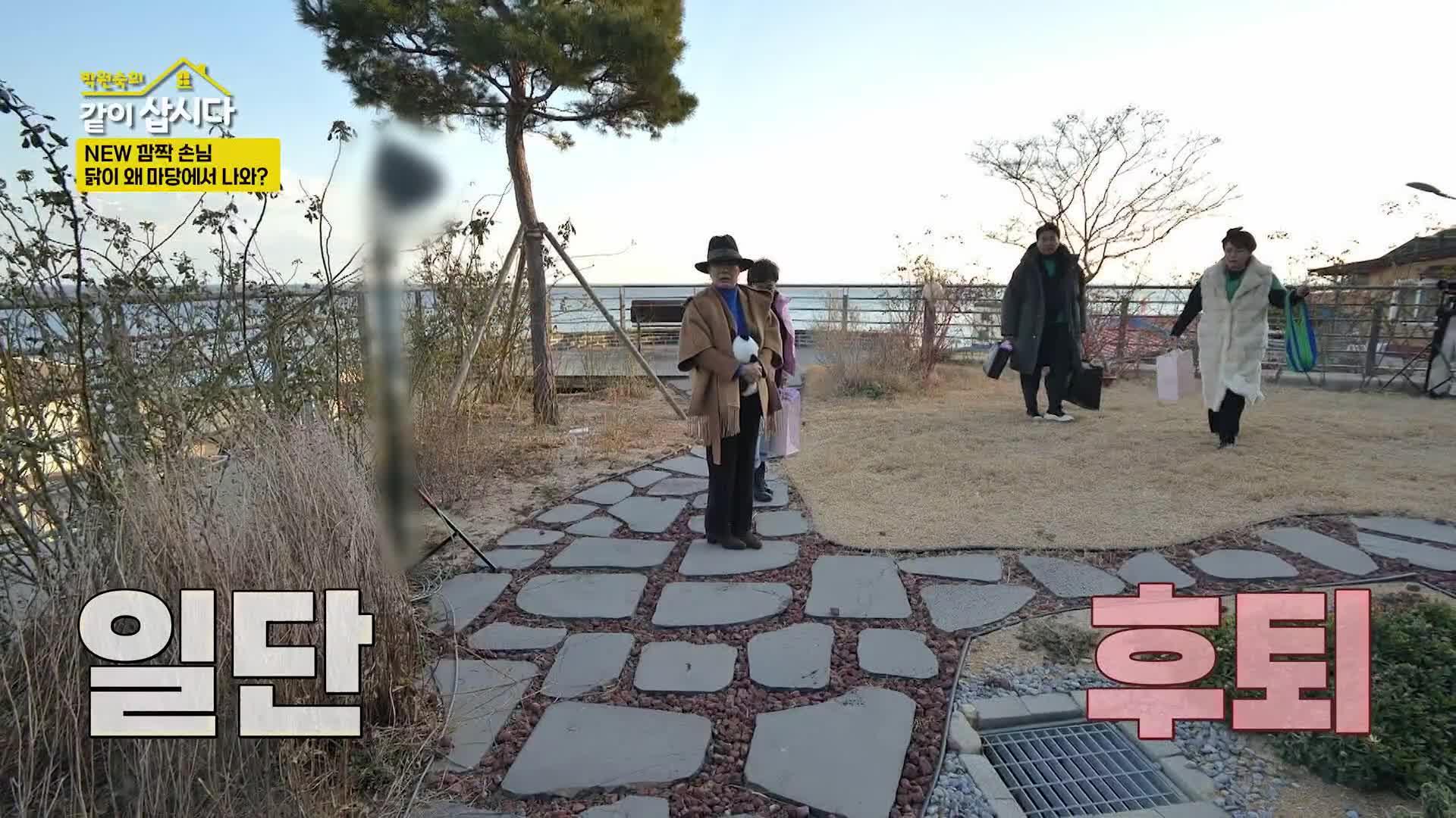 NEW 깜짝 손님 닭이 왜 마당에서 나와? | KBS 250306 방송 | ZUM TV