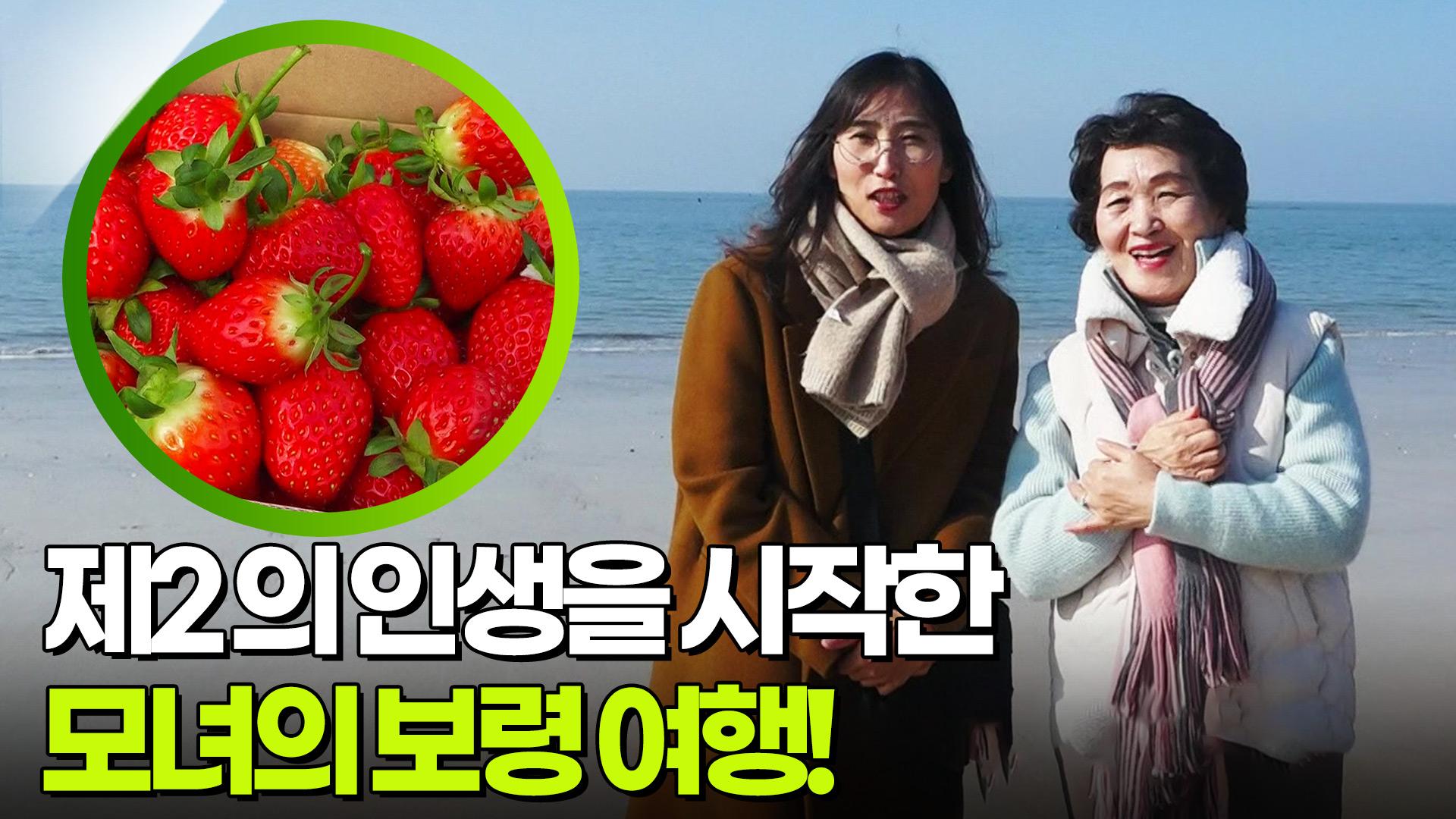 제2의 인생을 시작한 모녀의 보령 여행! “ 모든 게 신기한 우리 엄마! ” | KBS 250325 방송 | ZUM TV