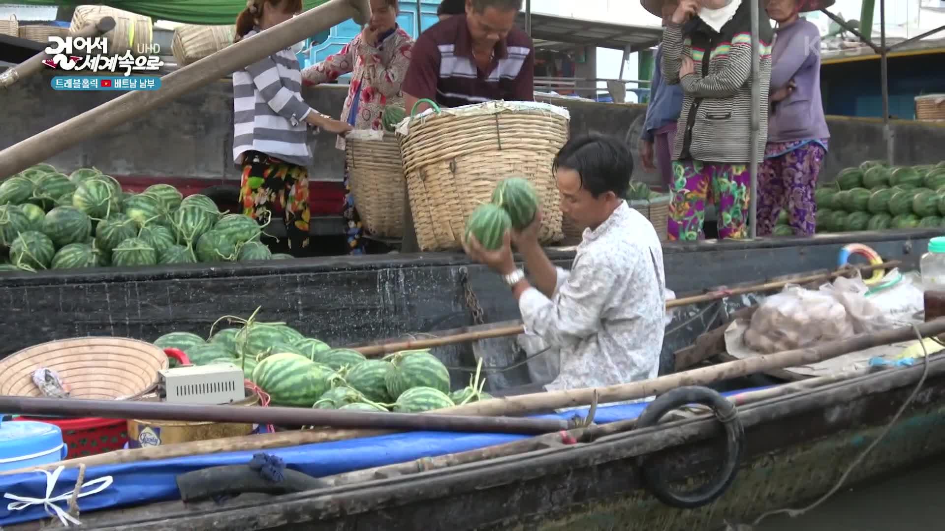 메콩 델타에서 가장 큰 규모의 까이랑 수상시장! “ 일반 가게의 가격이 절반! ” | KBS 250402 방송 | ZUM TV