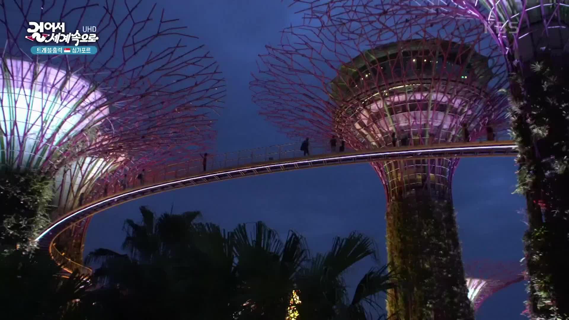 인공 정원에서 보는 싱가포르의 야경! | KBS 250422 방송 | ZUM TV