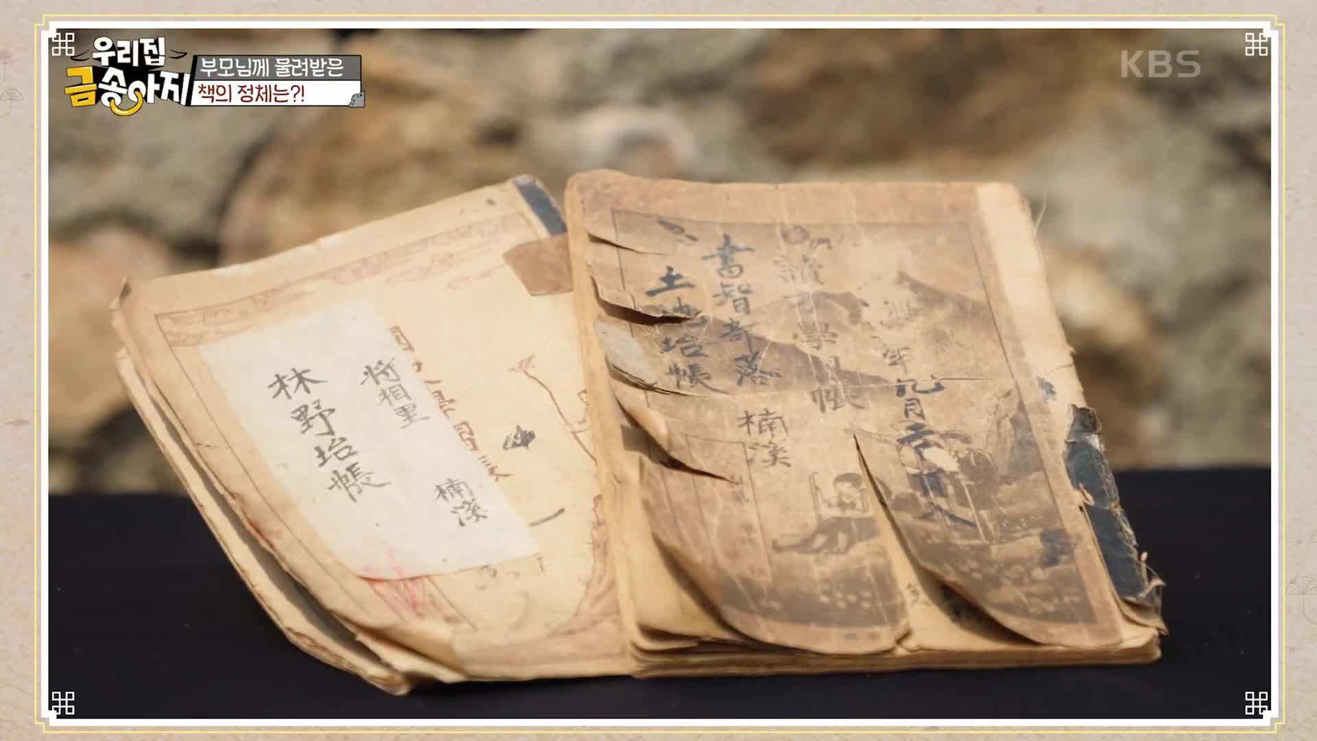 부모님께 물려받은 금송아지 책의 정체는?! | KBS 250507 방송 | ZUM TV