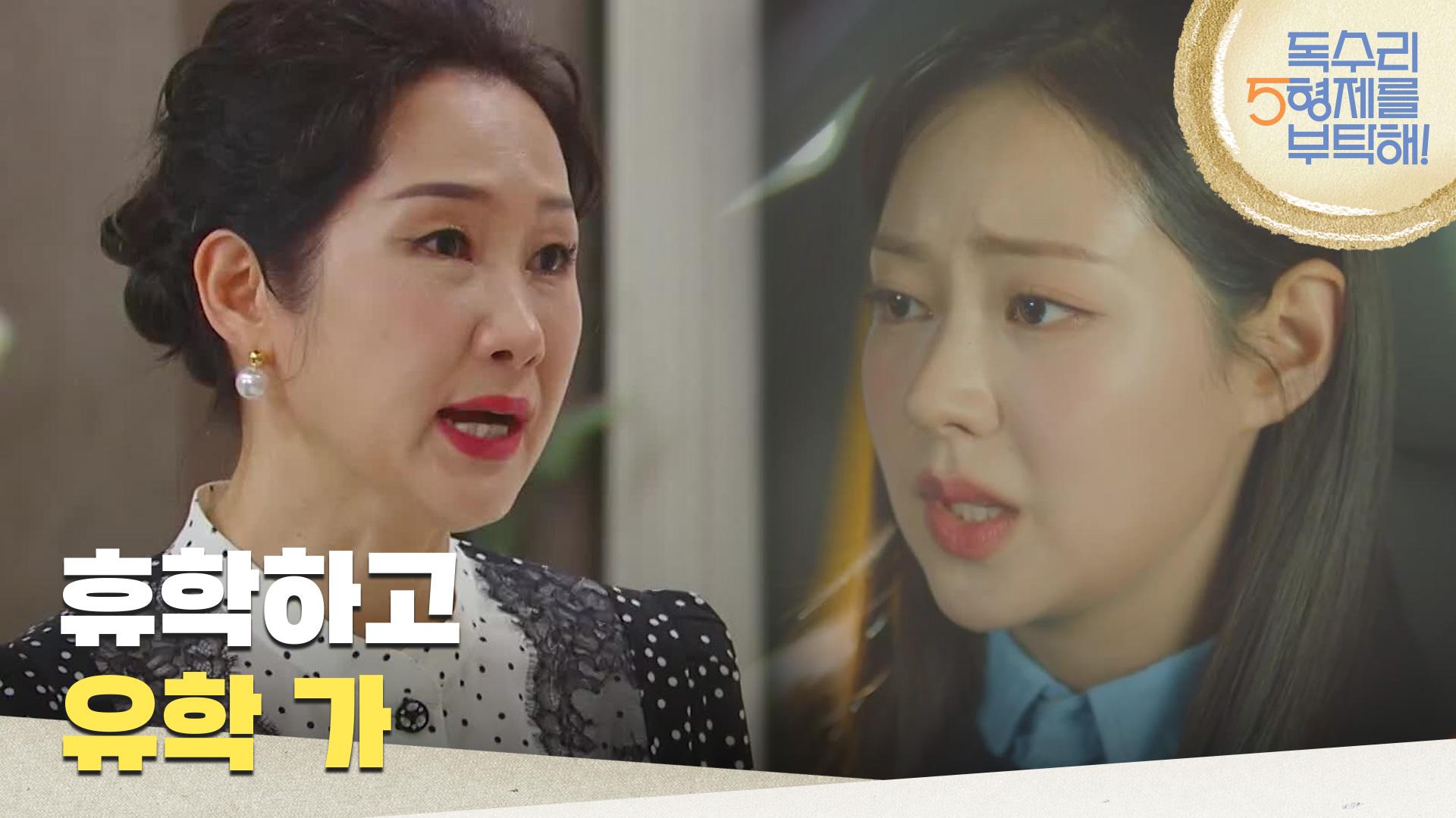 ＂휴학하고 유학 가＂최병모가 술도가에 간 사실을 듣게 된 신슬기 [독수리 5형제를 부탁해!] | KBS 250517 방송 | ZUM TV