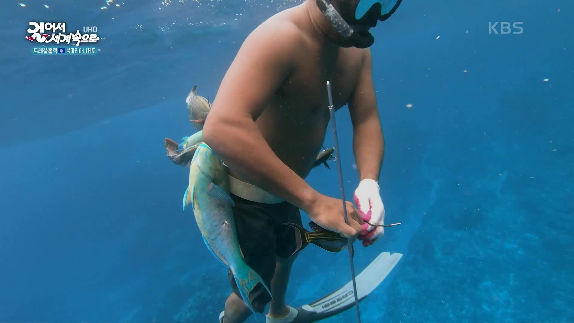 평생 바다를 터전으로 살아온 이들 ＂준비하시고 쏘세요!＂ | KBS 250528 방송 | ZUM TV