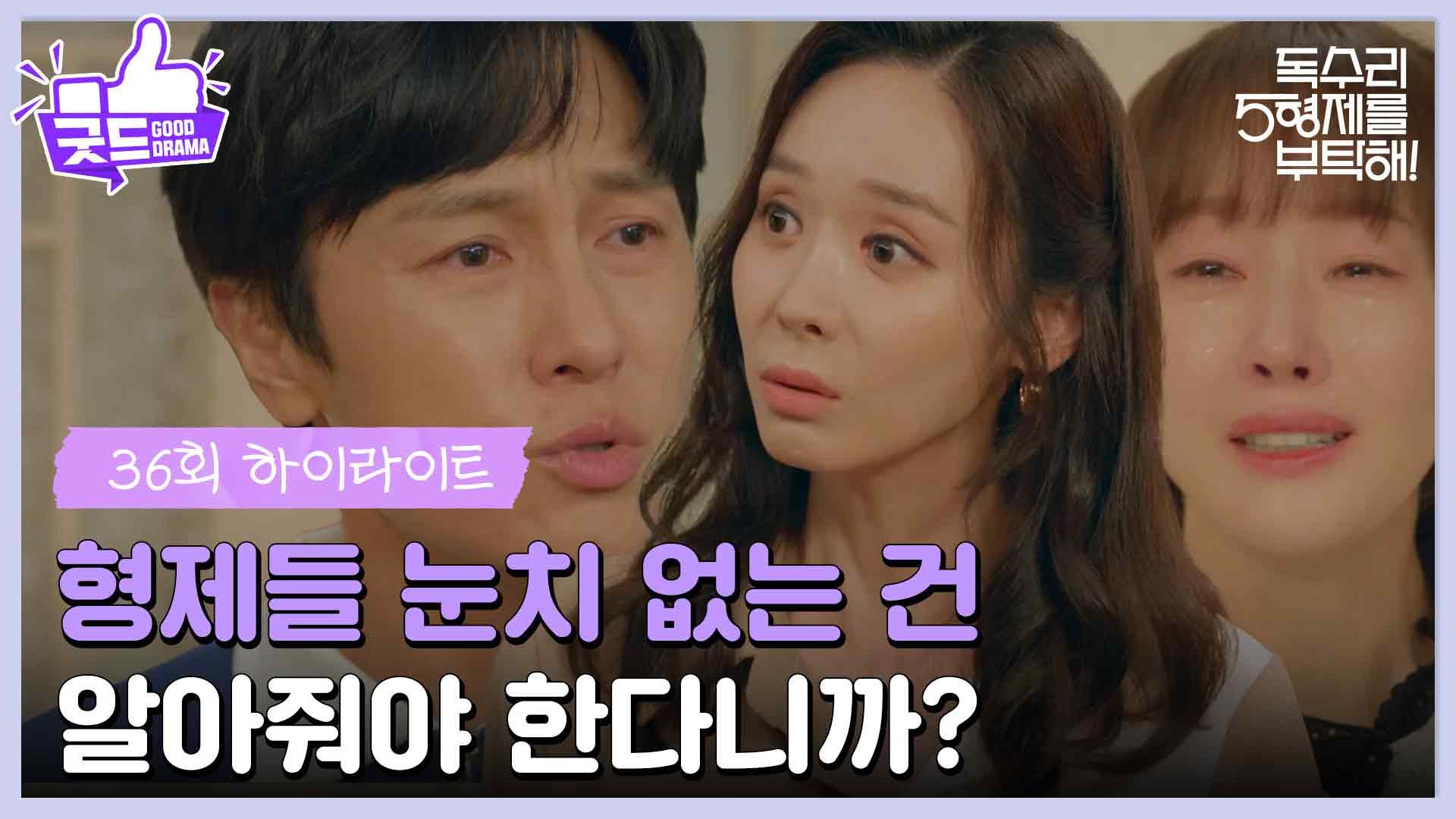 [36화 하이라이트]＂형제들 눈치 없는 건 알아줘야 한다니까?＂한수연의 폭로로 엄지원을 오해하는 형제들💧 [독수리 5형제를 부탁해!] | KBS 250601 방송 | ZUM TV