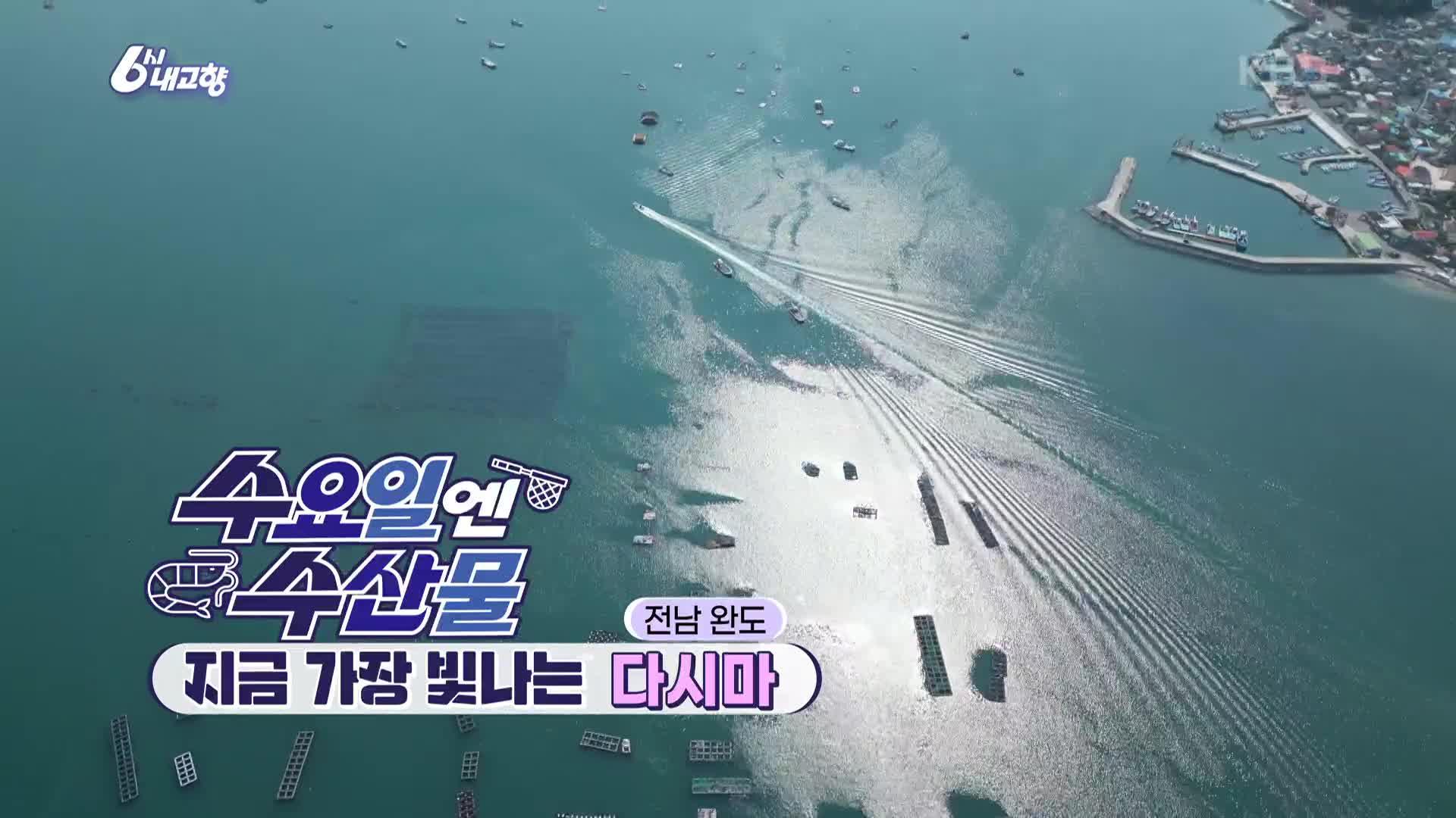 [수요일엔 수산물] 지금 가장 빛나는 다시마 | KBS 250618 방송 | ZUM TV