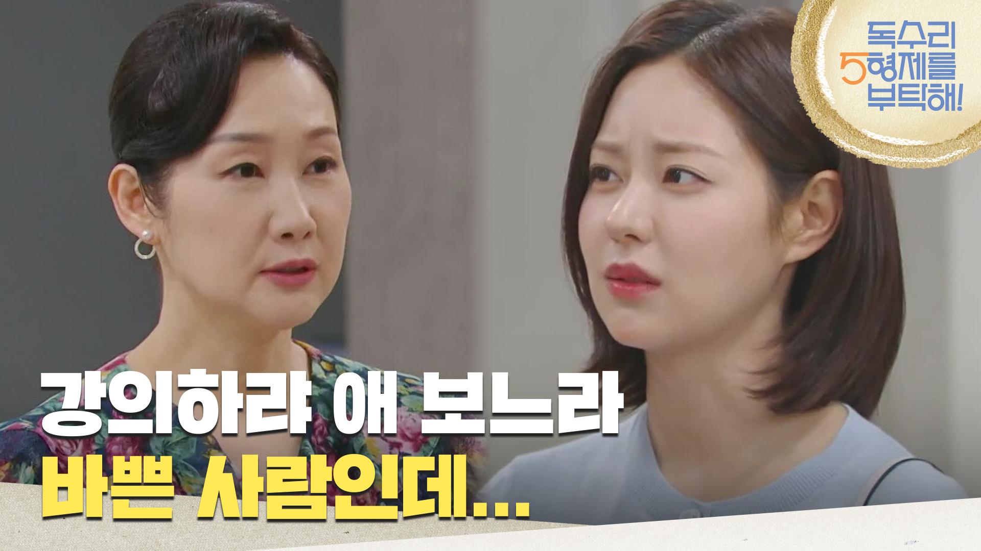 ＂강의하랴 애 보느라 바쁜 사람인데...＂윤박과 신슬기의 사이를 응원해 주는 배해선 [독수리 5형제를 부탁해!] | KBS 250628 방송 | ZUM TV