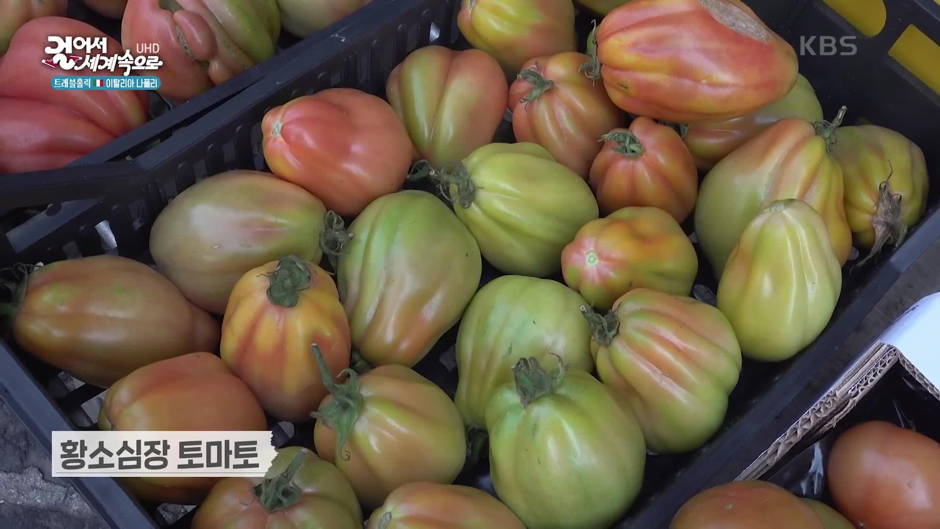 아말피 코스트의 어촌마을, 페타라 “ 흔히 볼 수 없었던 과일들이 있는 시장도! ” | KBS 250701 방송 | ZUM TV