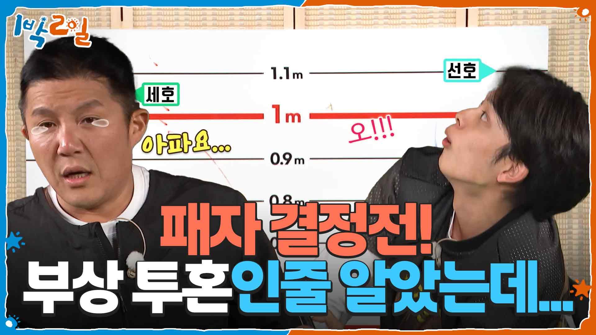 패자 결정전! 림프샘 부상 투혼인줄 알았는데 아니었던 건에 대하여 | KBS 250706 방송 | ZUM TV