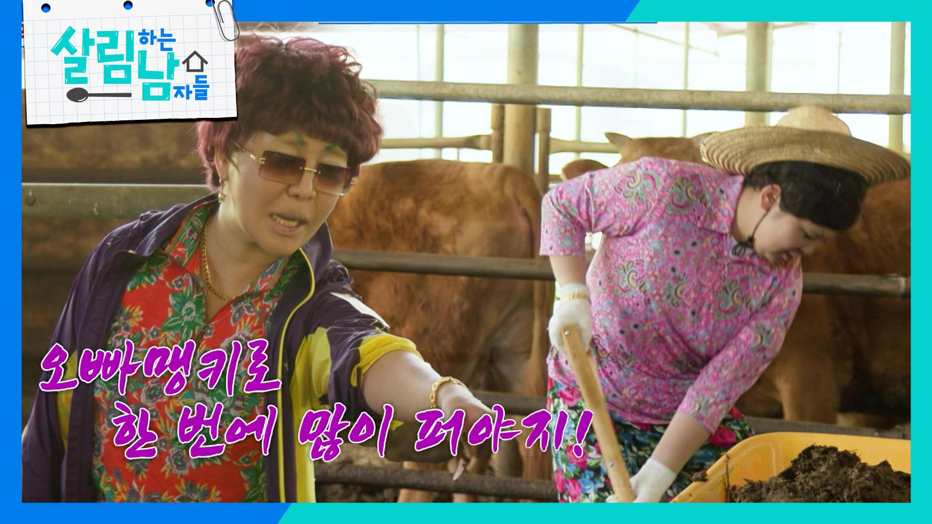 오늘은 효정이 구박받고 서진이 무한 칭찬받는 날😎 | KBS 250719 방송 | ZUM TV