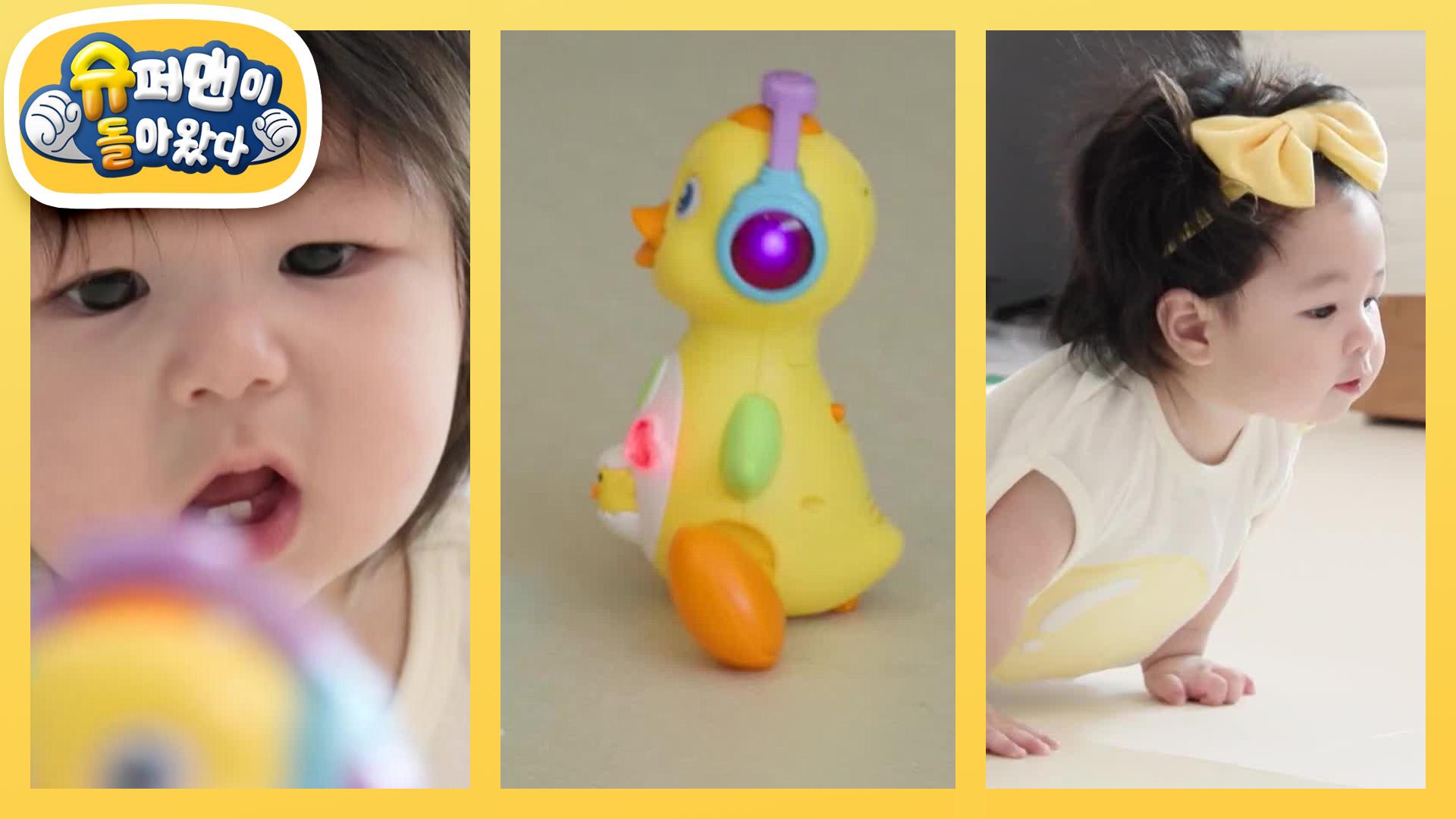 [심형탁네] 꽥꽥 🐤 오리 장난감을 향해 돌격! 하루 집념의 장난감 잡이 | KBS 250910 방송 | ZUM TV