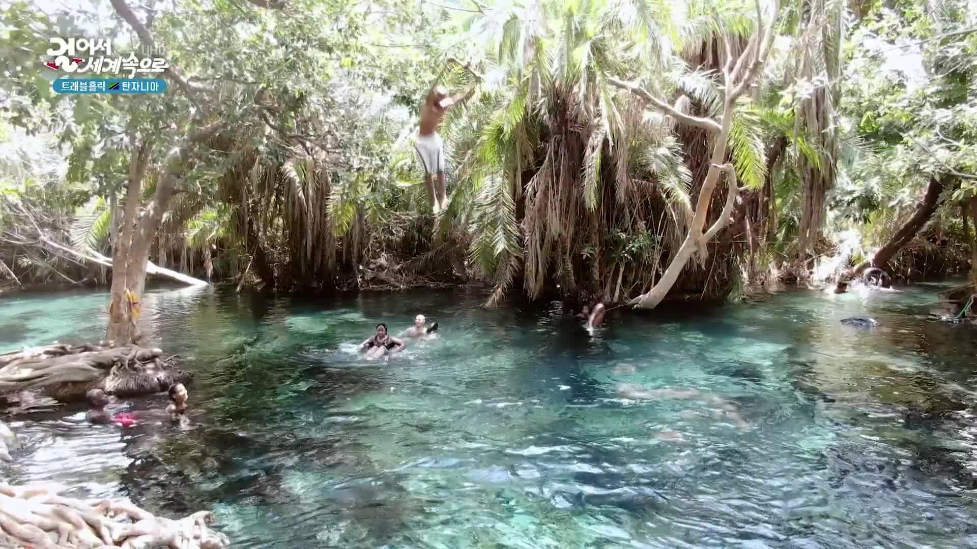 탄자니아의 쳄카 온천 “ 사파리 여행자들에게 오아시스같은 존재 ” | KBS 250925 방송 | ZUM TV