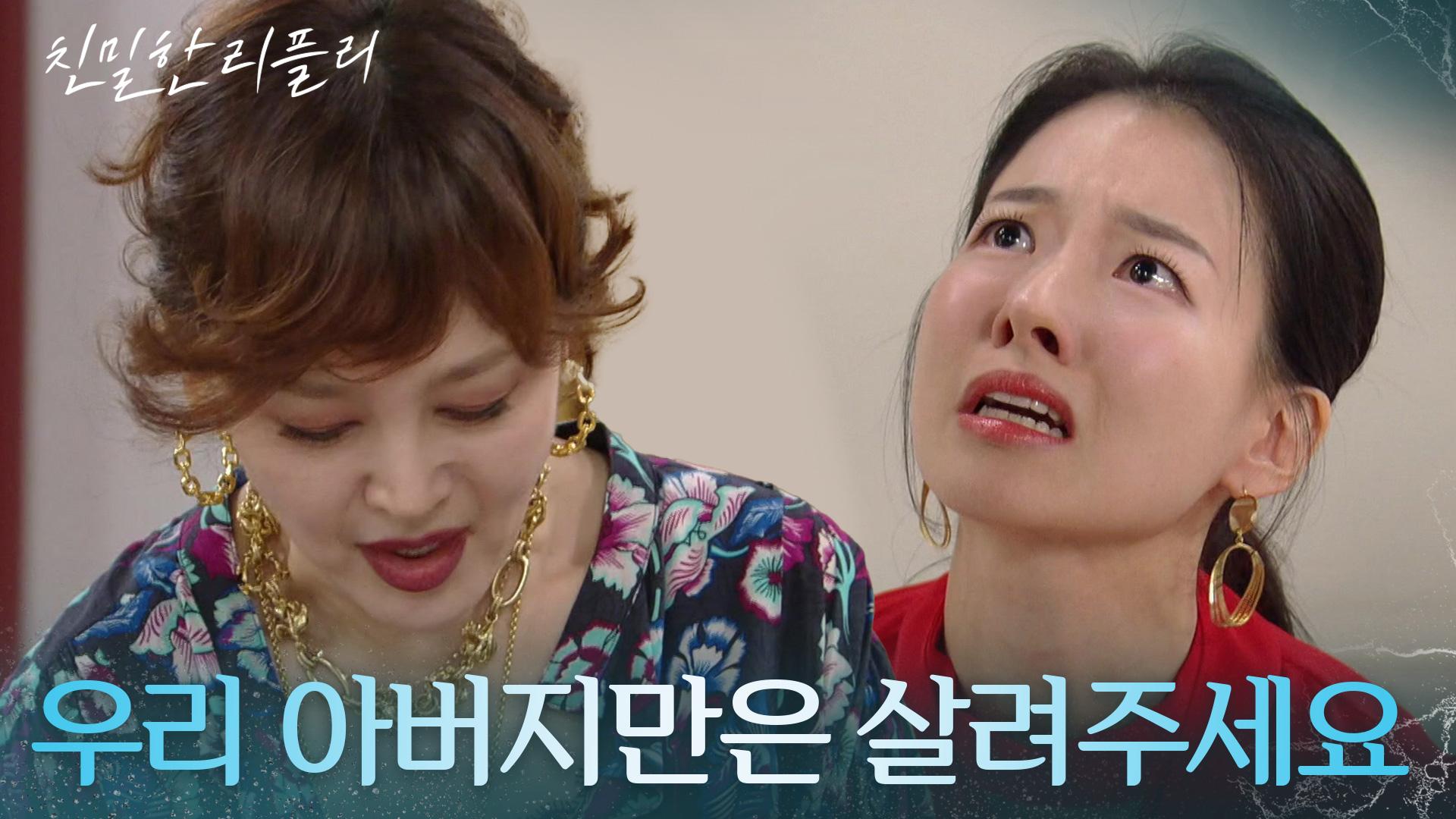 시키는 대로 다 할게요 ” 이승연에 박철호를 살려달라고 비는 이시아 [친밀한 리플리] | KBS 251003 방송 | ZUM TV