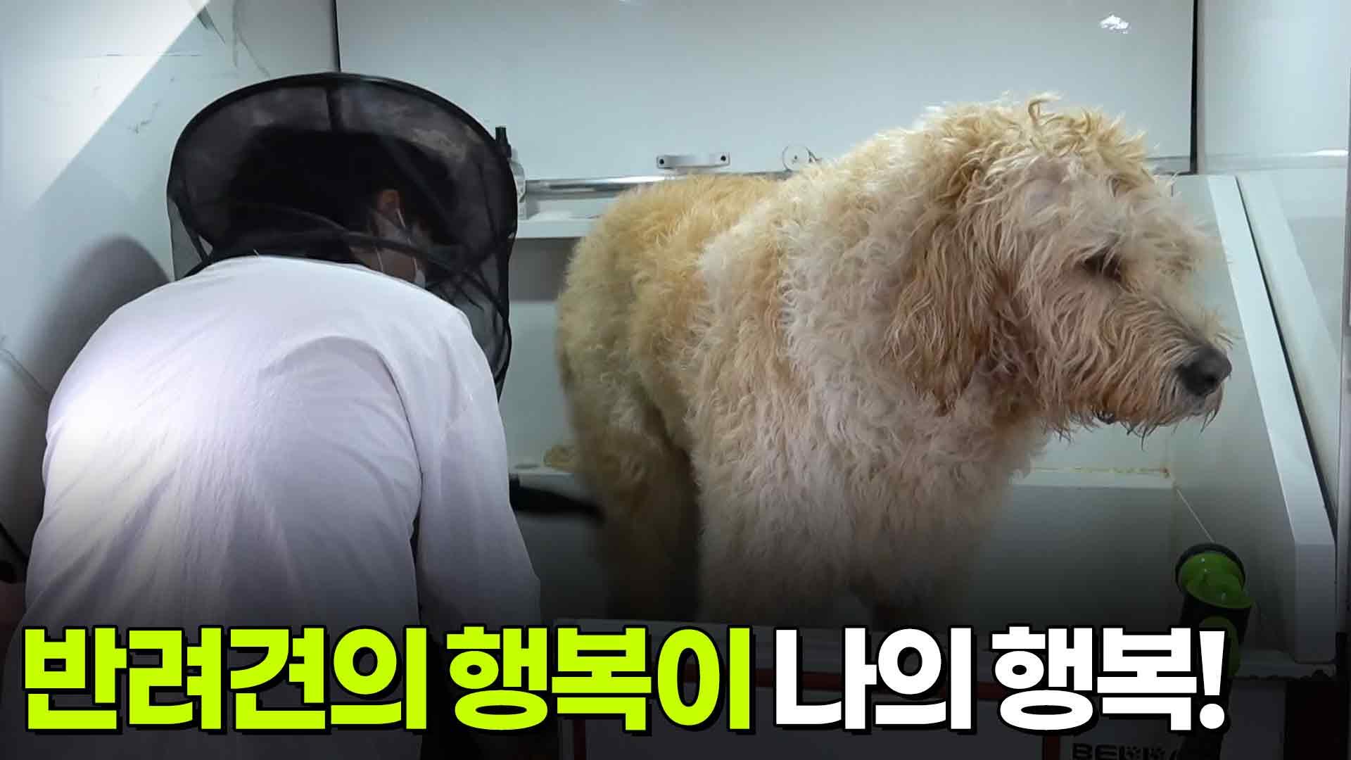 [굿모닝 잡스타] 반려견의 행복이 나의 행복! | KBS 251031 방송 | ZUM TV