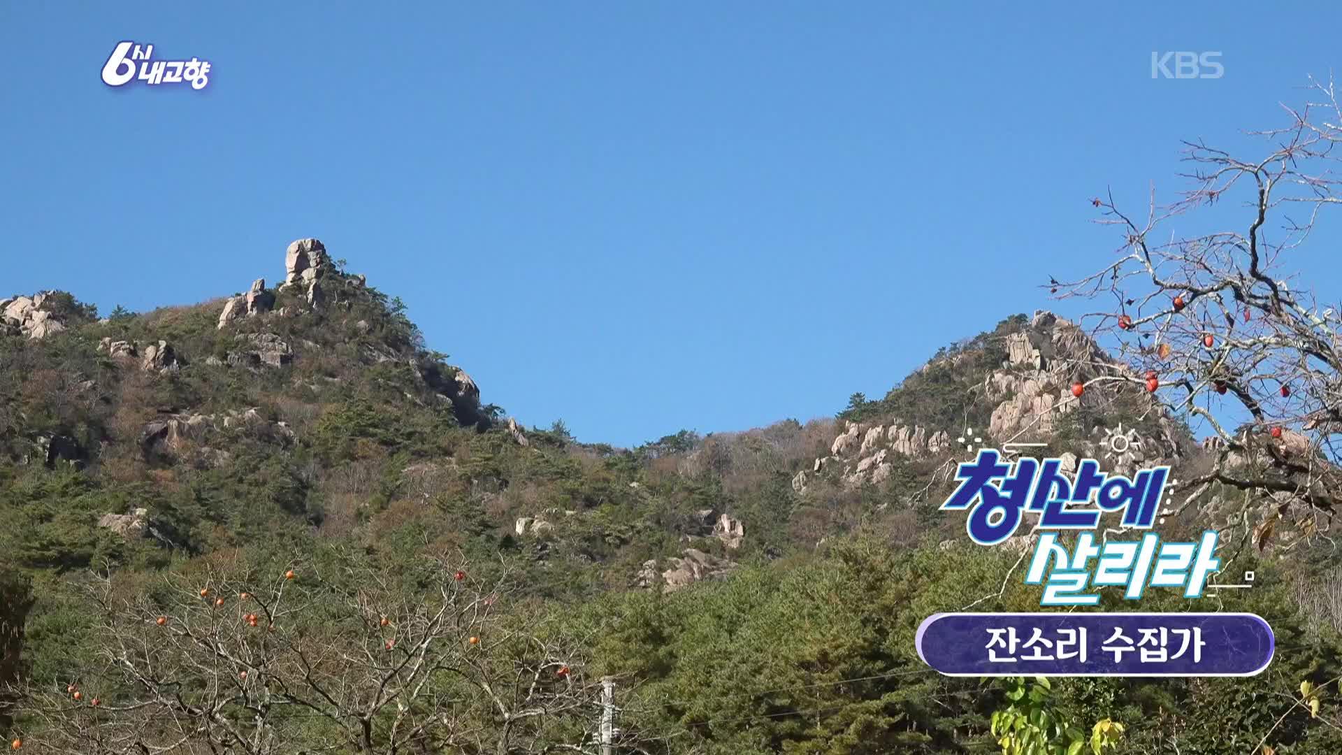 [청산에 살리라] 잔소리 수집가 | KBS 251120 방송 | ZUM TV