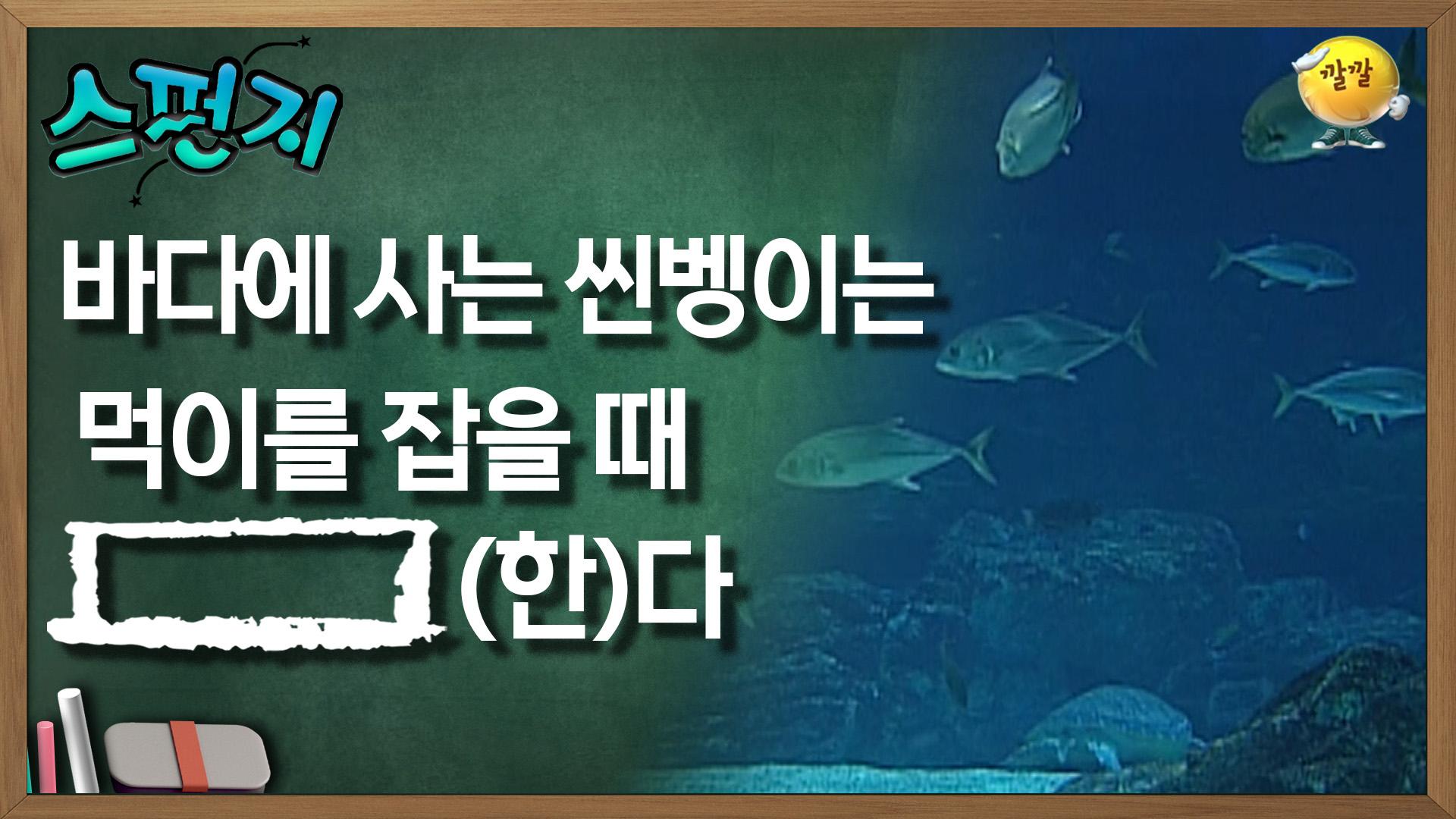 바다에 사는 씬벵이는 먹이를 잡을 때 [ ](한)다. [스펀지 레전드] | KBS 060429방송 | ZUM TV