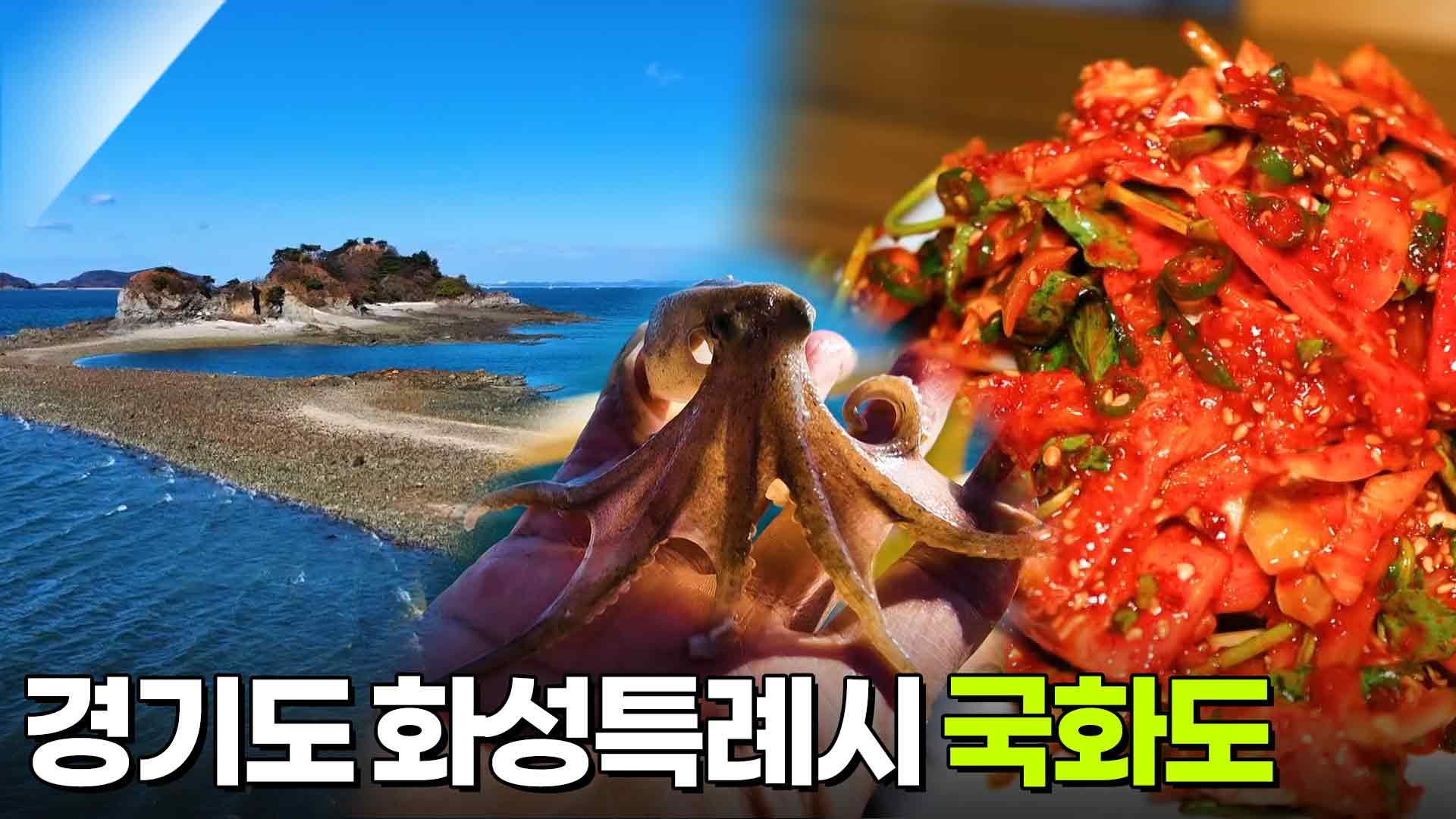 한눈에 반했~섬(島): 경기도 화성특례시 국화도 | KBS 251126 방송 | ZUM TV