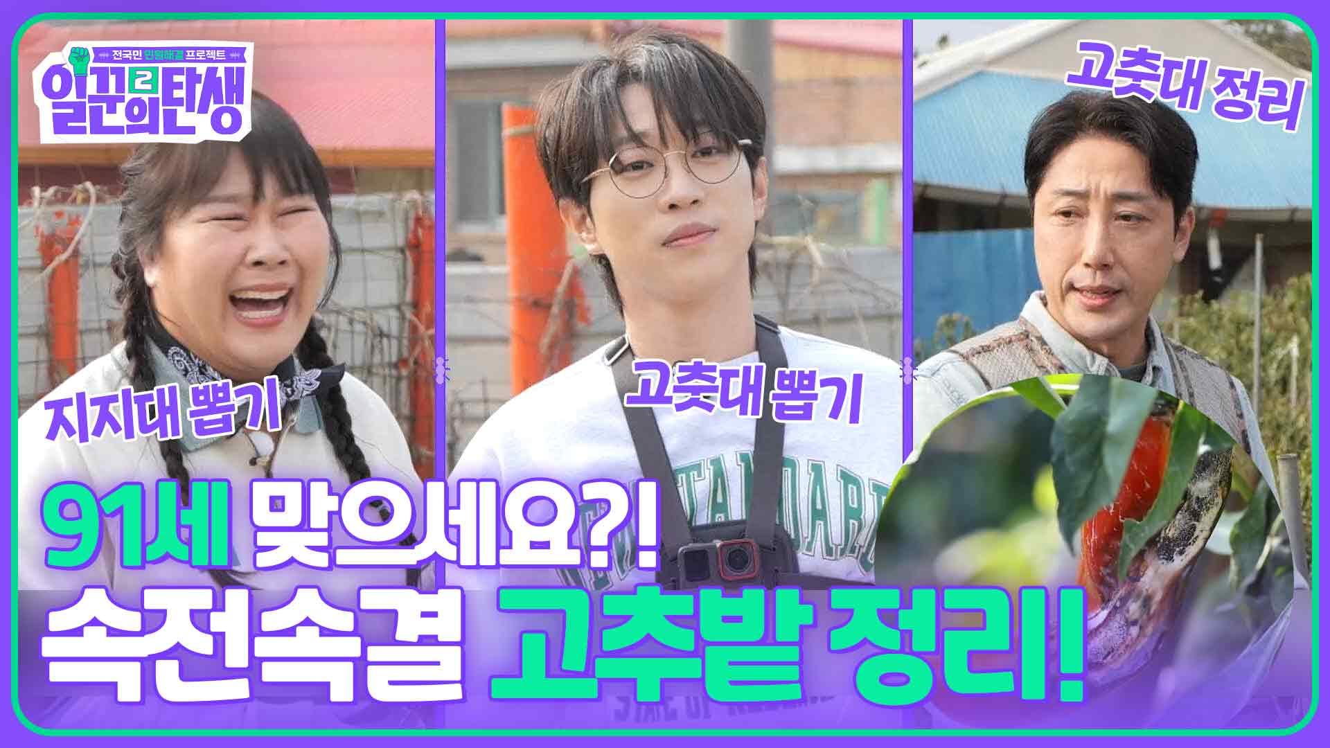 91세 맞으세요?! 어르신을 위한 속전속결 고추밭 정리! | KBS 251126 방송 | ZUM TV