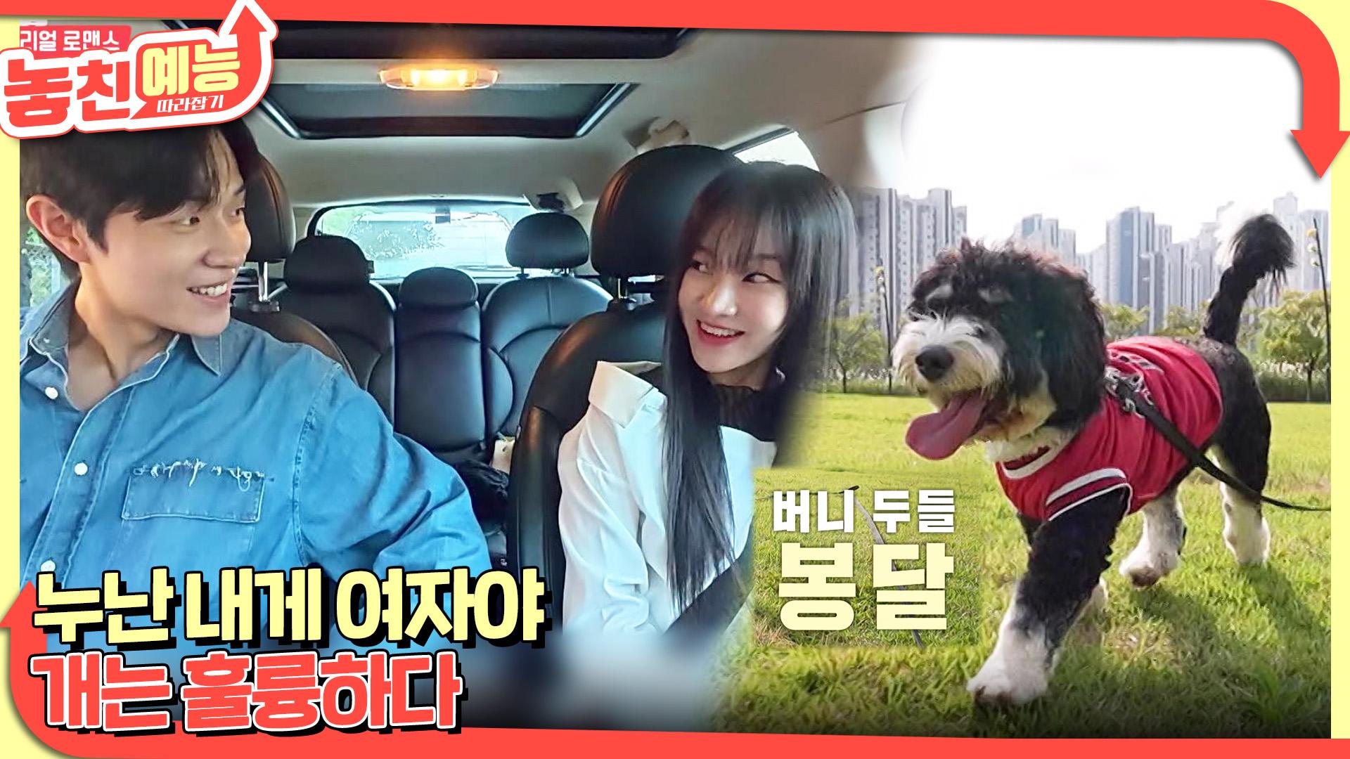 놓친 예능 따라잡기(누난 내게 여자야 / 개는 훌륭하다) | KBS 251127 방송 | ZUM TV