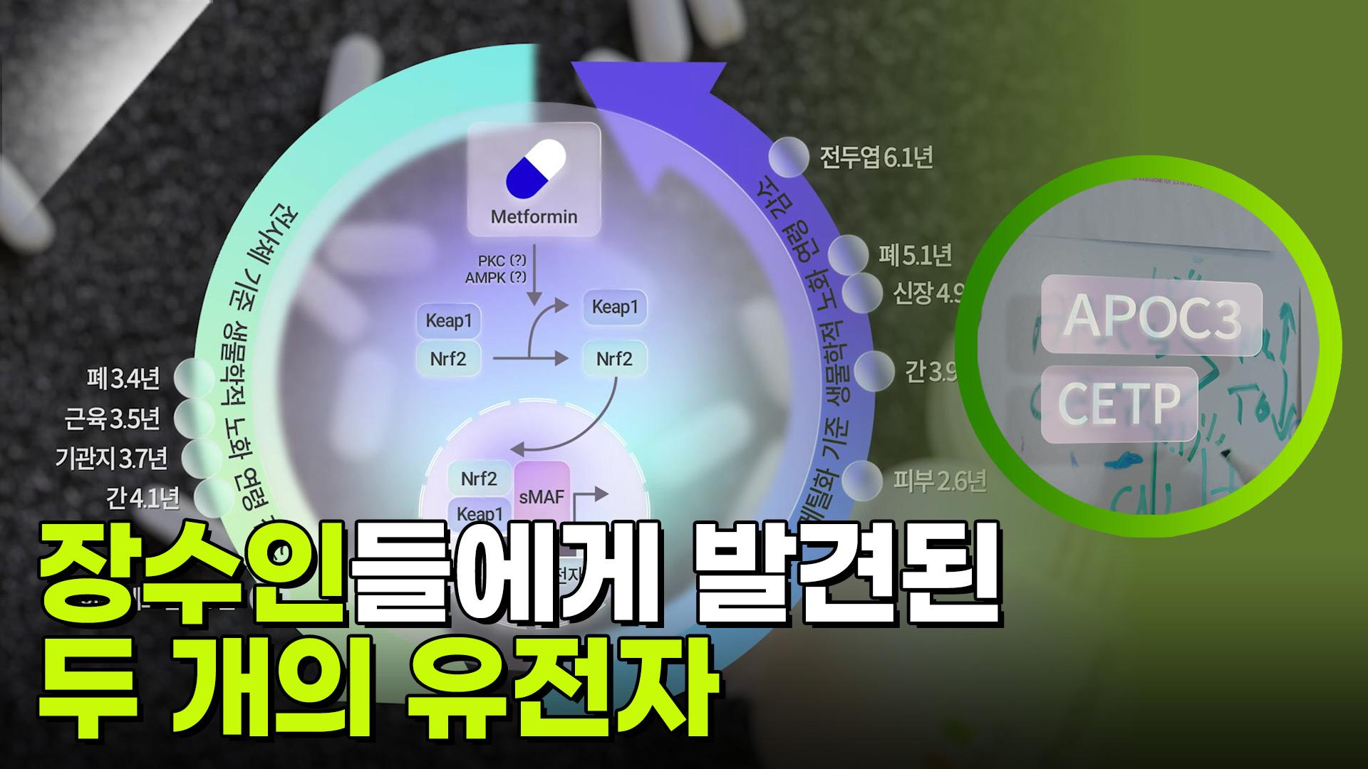 장수인들에게 발견된 두 개의 유전자 | KBS 251126 방송 | ZUM TV