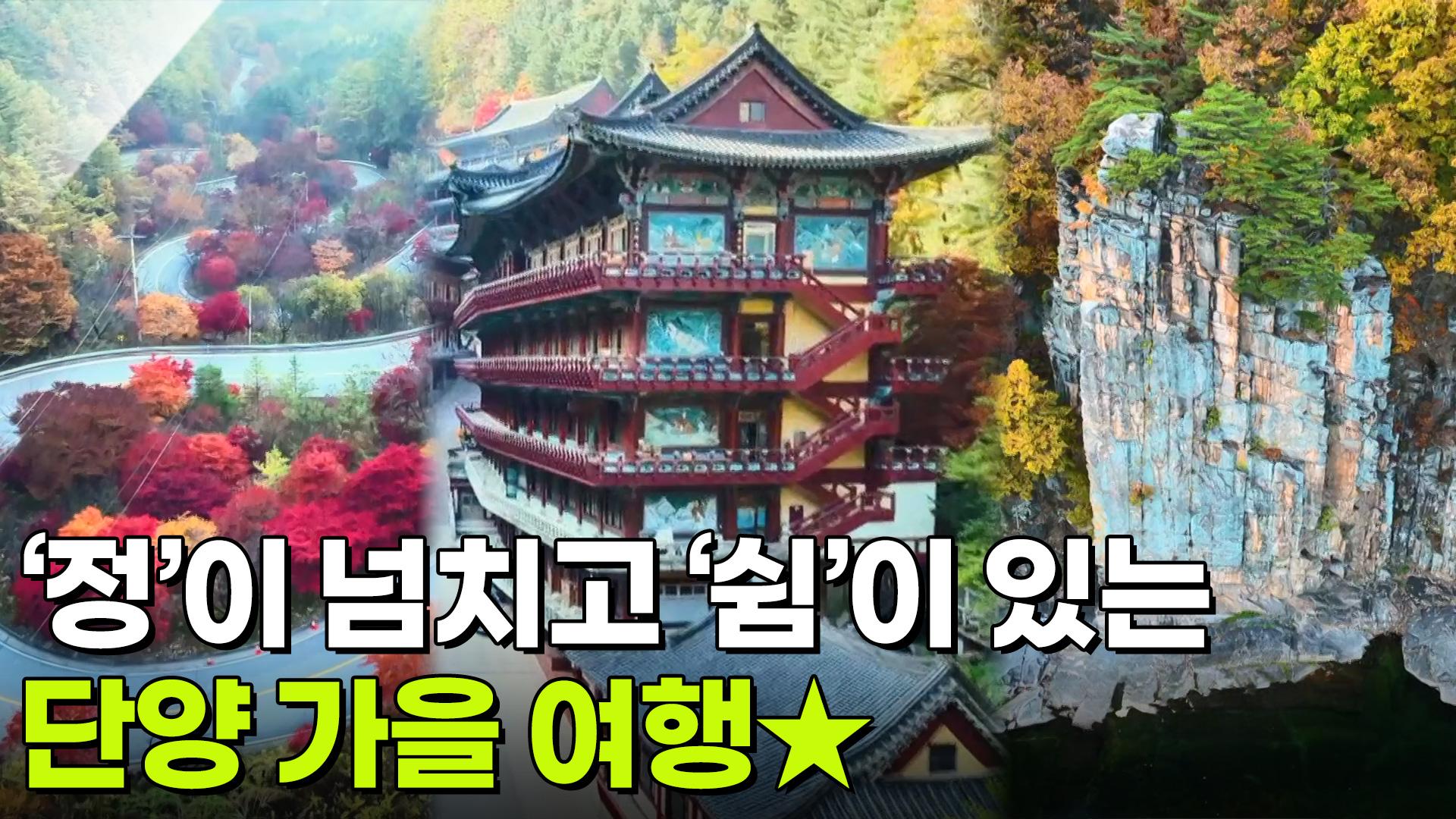 장PD의 AI여행기: AI추천! 촌(村)스러운 단양 여행! | KBS 251127 방송 | ZUM TV