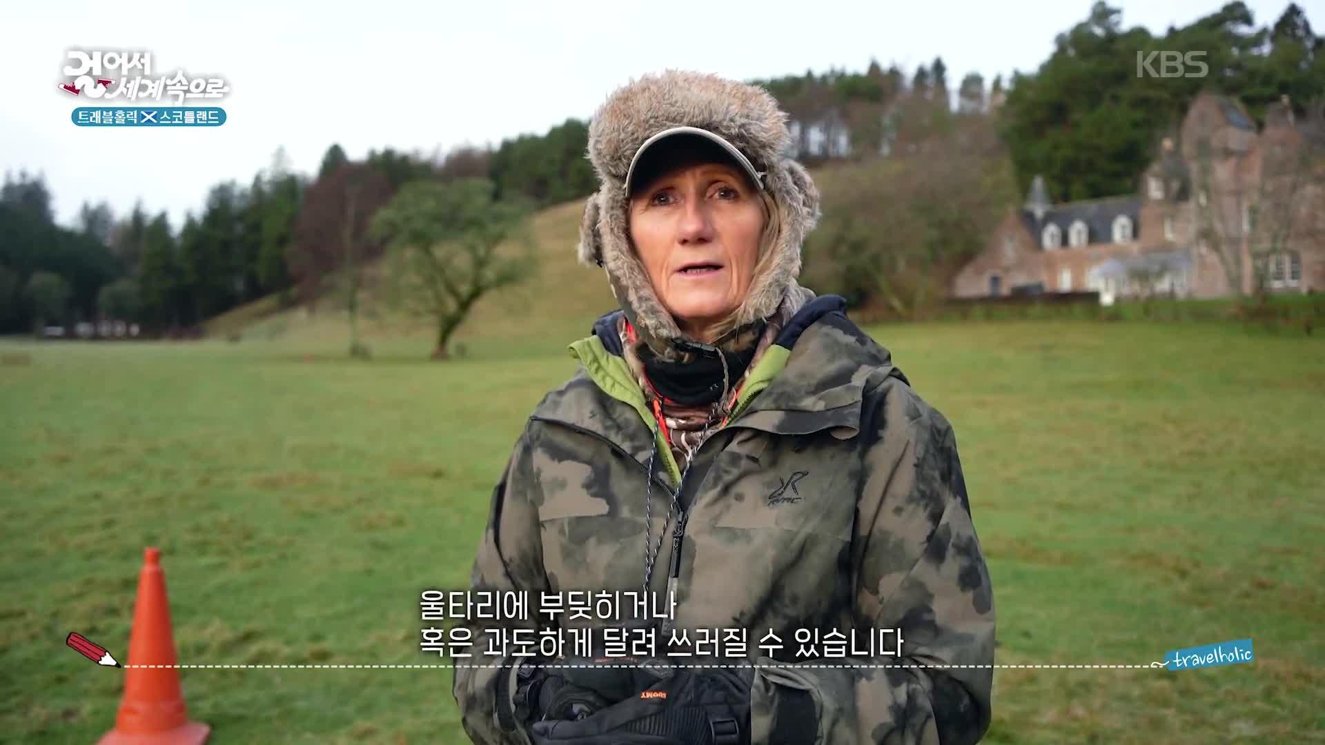양치기 개들과 천여 마리의 양을 키우다 | KBS 251129 방송 | ZUM TV