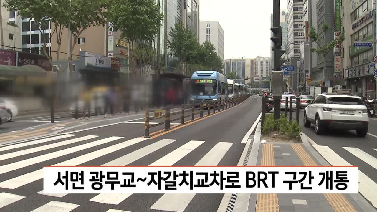 서면 광무교~자갈치교차로 brt 개통 | ZUM TV